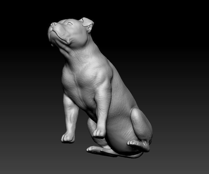 Pitbull bulldog 3D model 3D printable | CGTrader