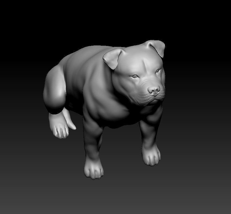 Pitbull bulldog 3D model 3D printable | CGTrader