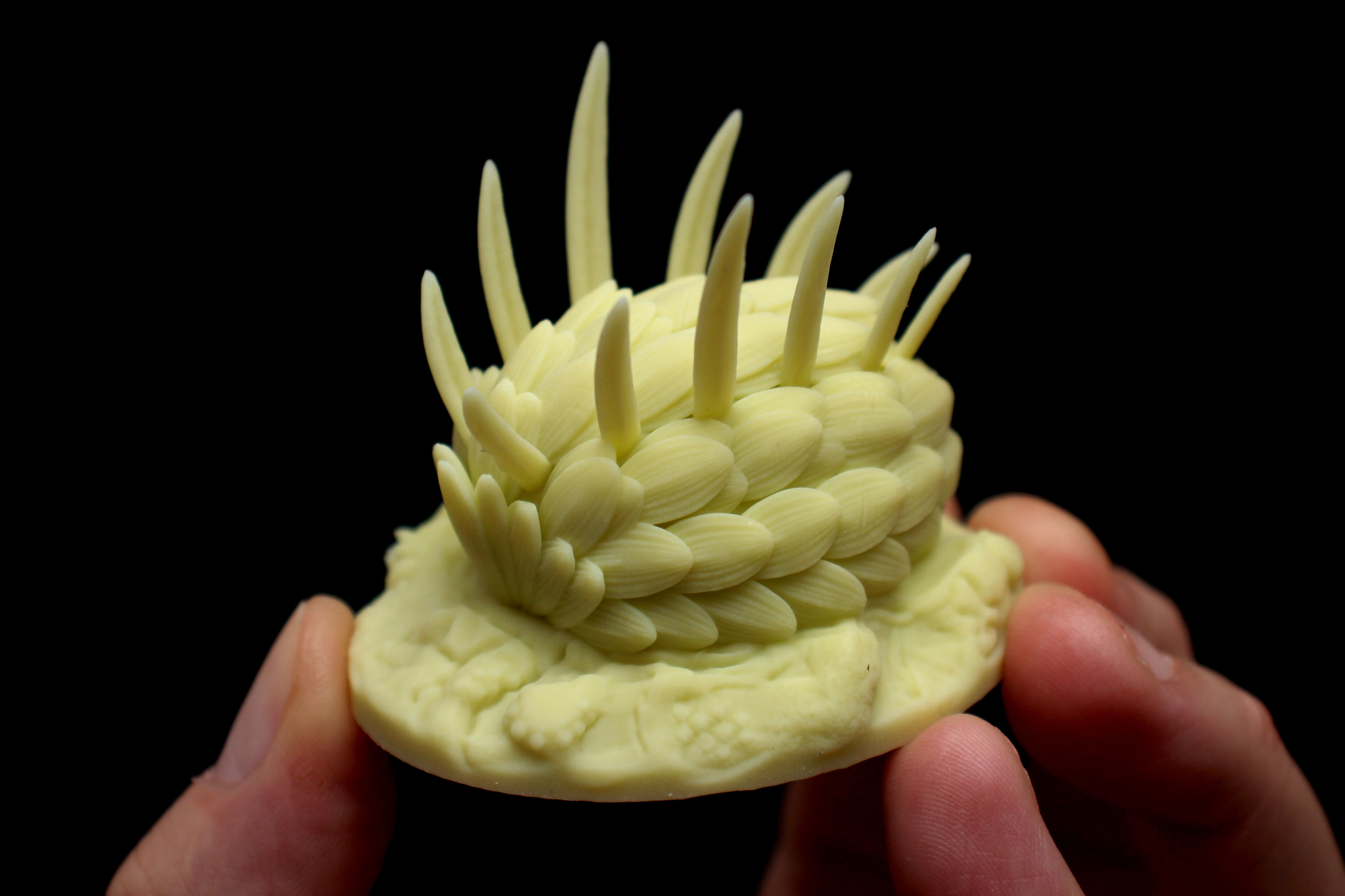 Wiwaxia corrugata 3D model 3D printable | CGTrader