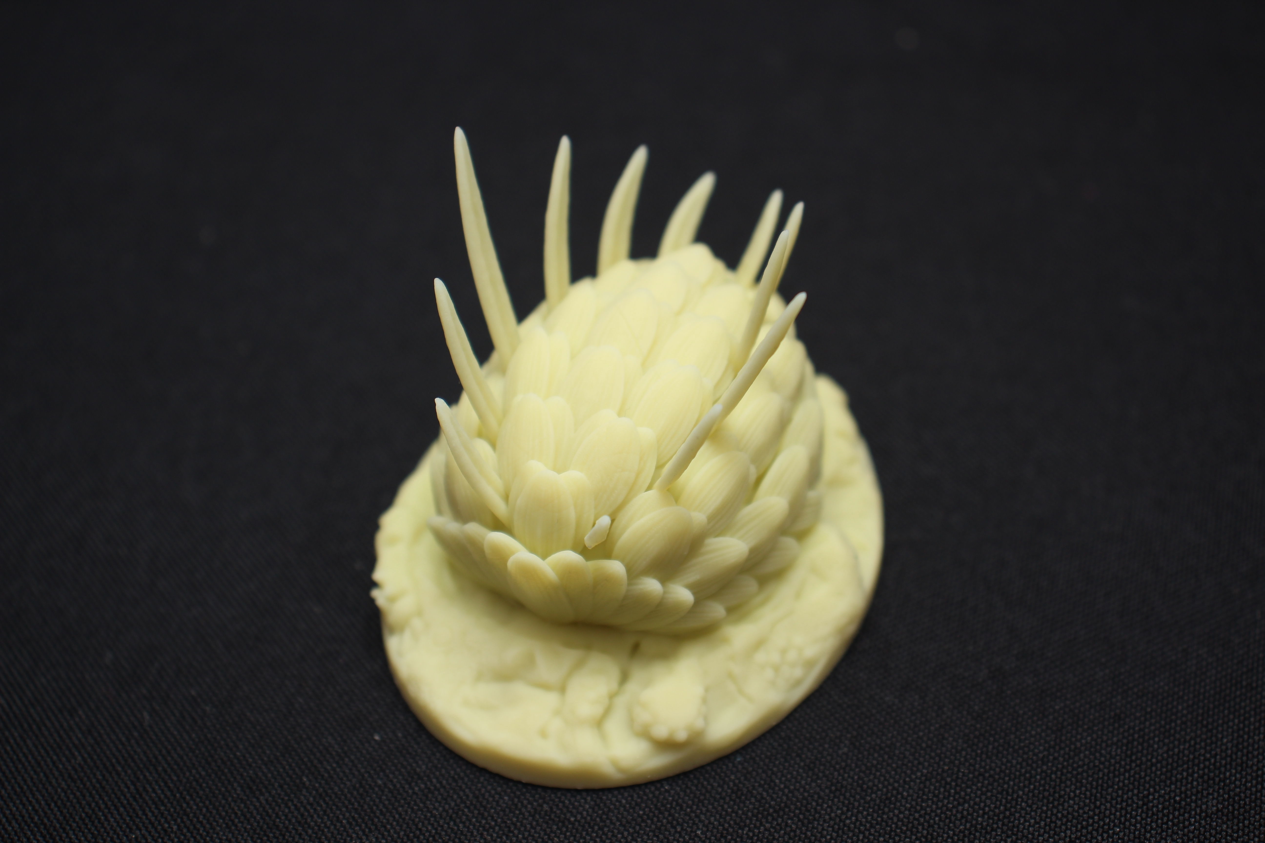 Wiwaxia corrugata 3D model 3D printable | CGTrader