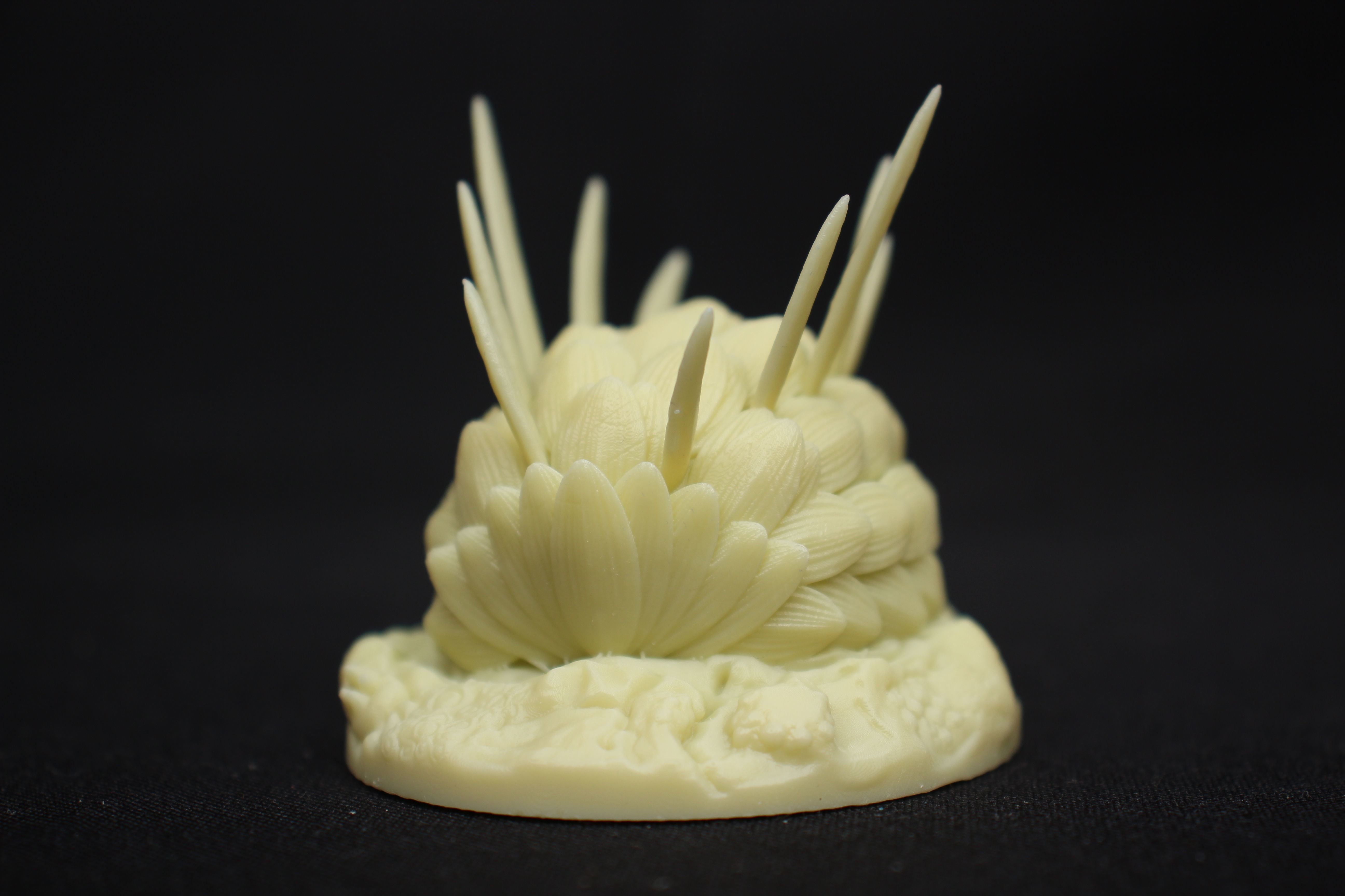 Wiwaxia corrugata 3D model 3D printable | CGTrader