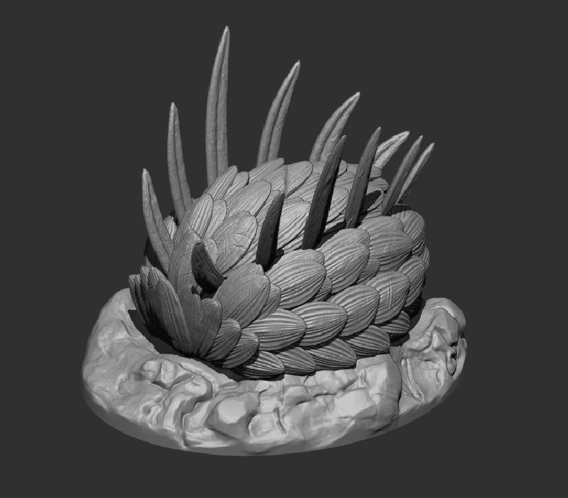 Wiwaxia corrugata 3D model 3D printable | CGTrader