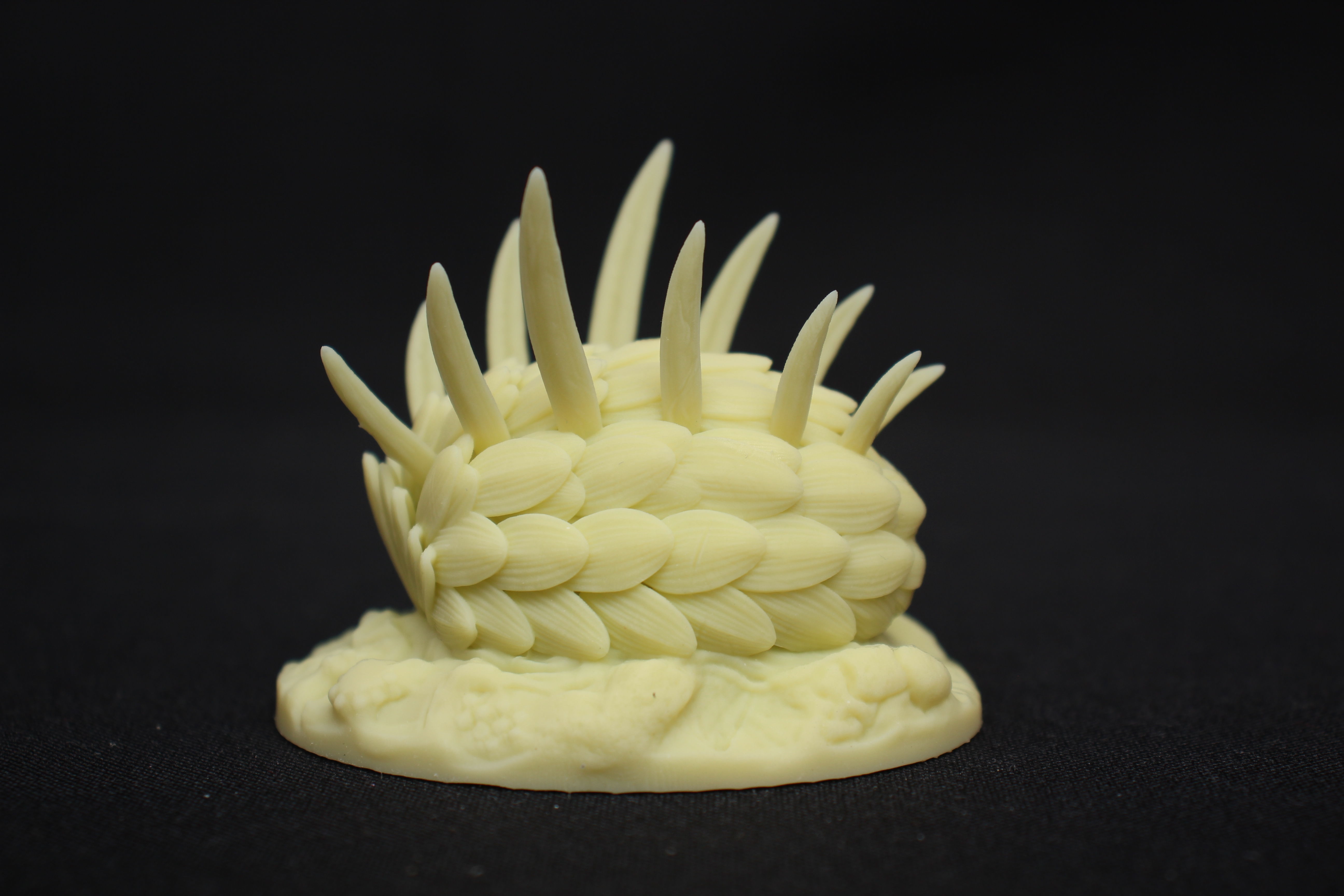 Wiwaxia corrugata 3D model 3D printable | CGTrader