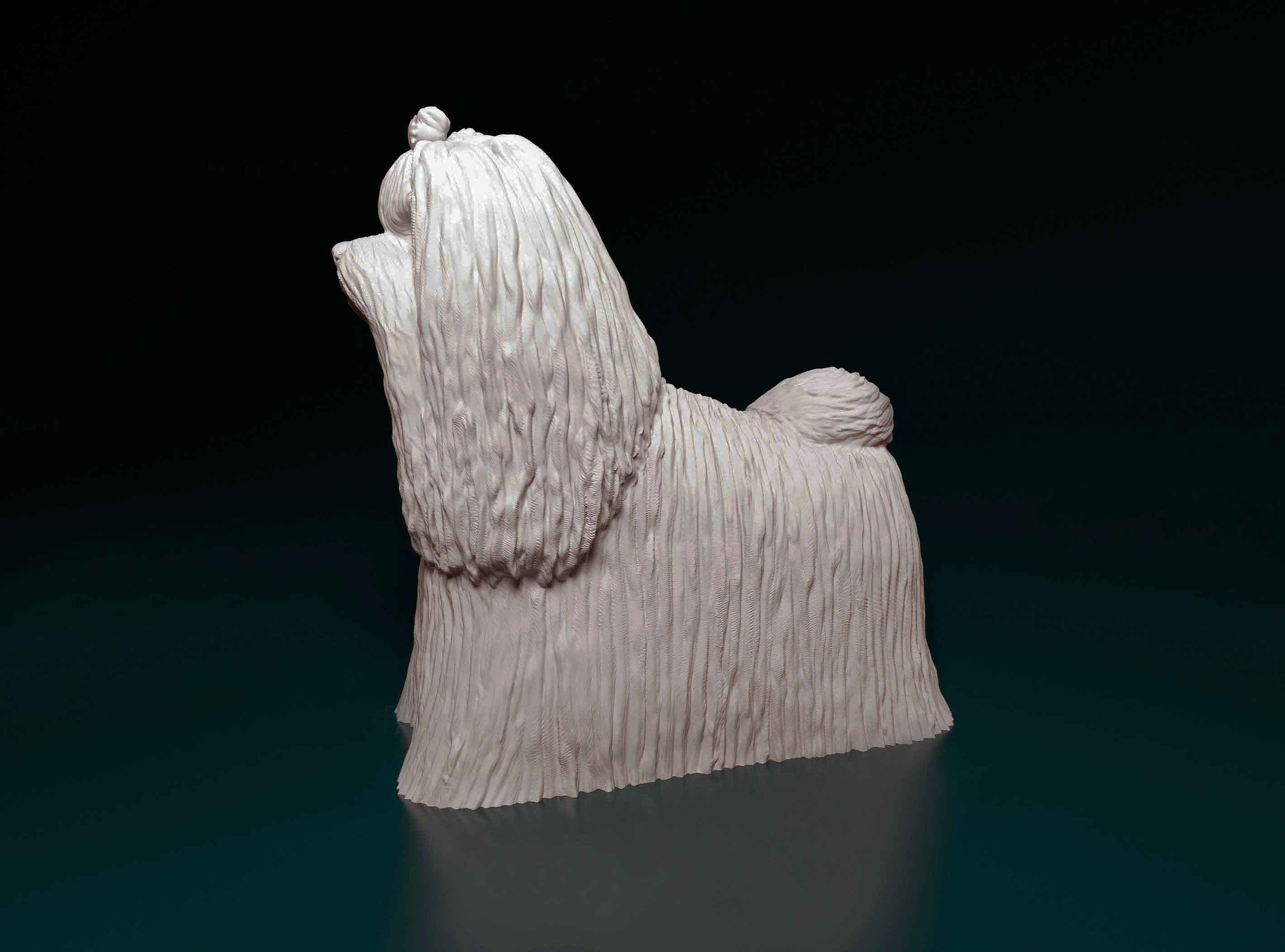 Maltese dog 3D model 3D printable | CGTrader