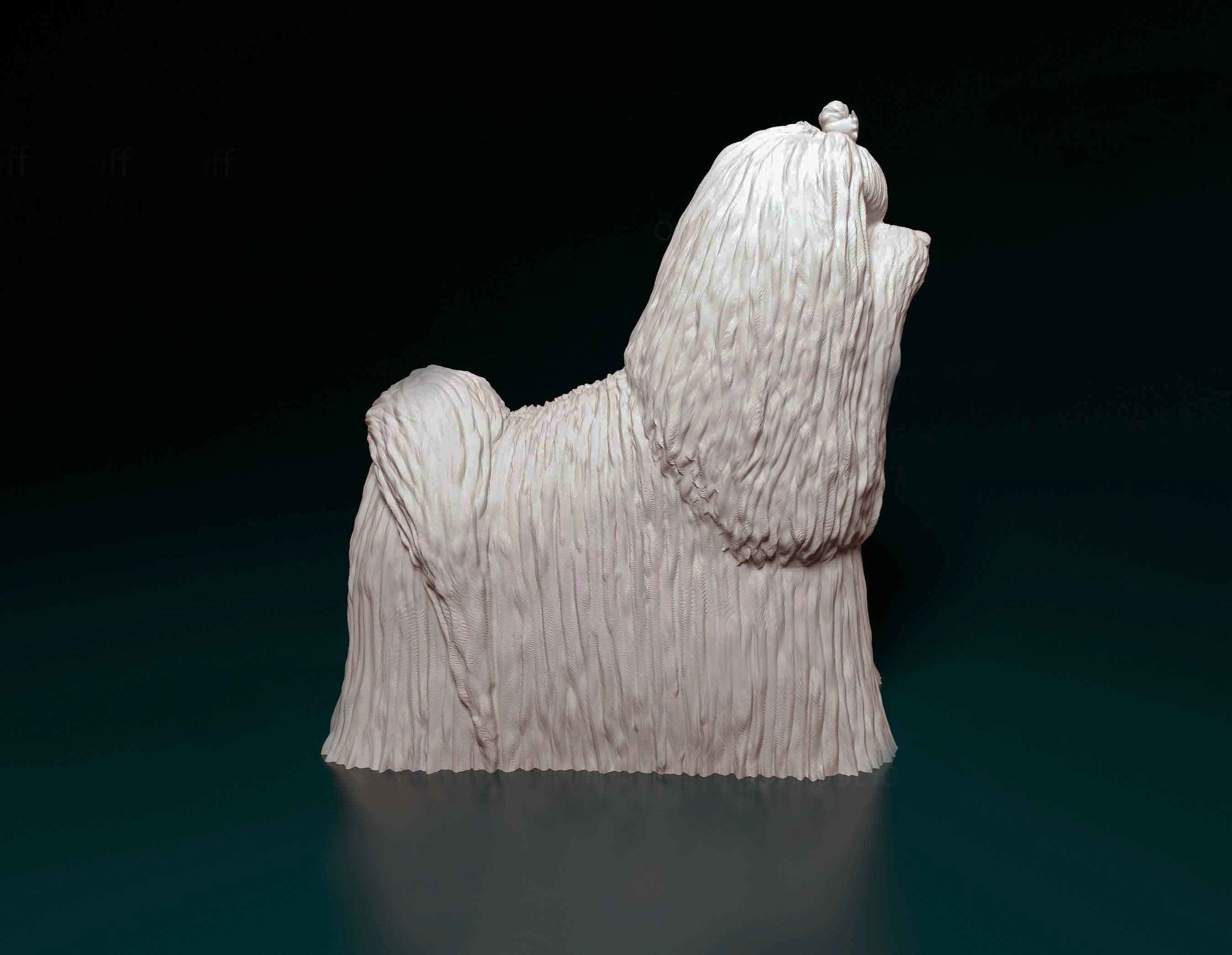 Maltese dog 3D model 3D printable | CGTrader