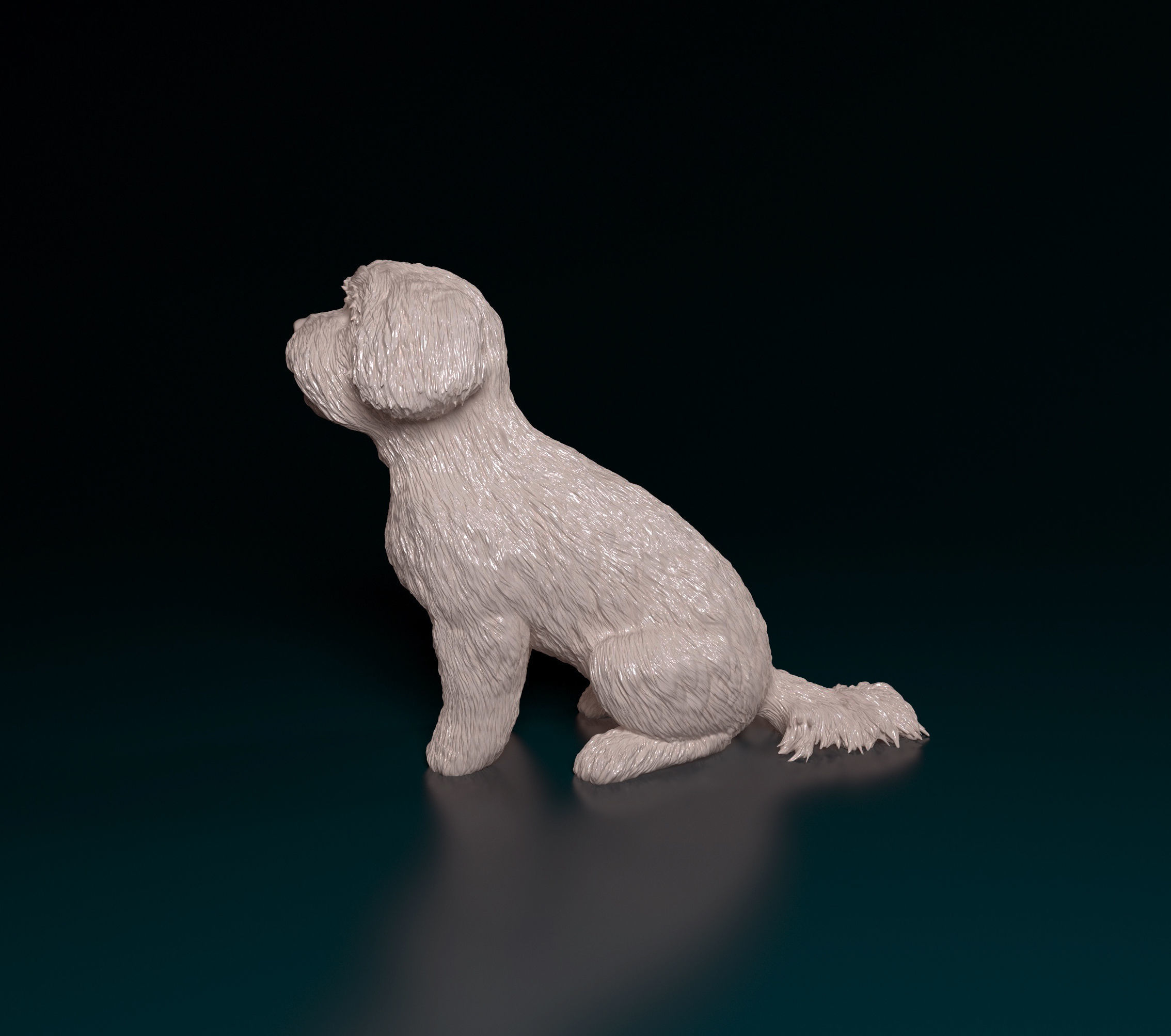 Maltese dog 3D model 3D printable | CGTrader