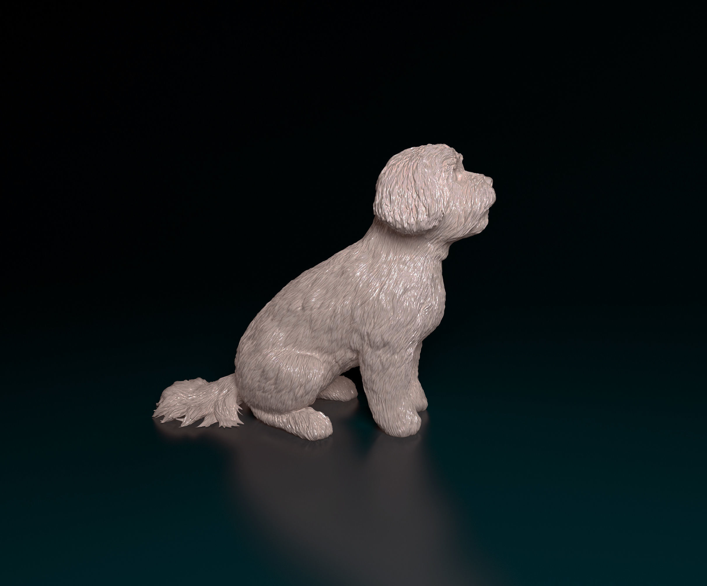 Maltese dog 3D model 3D printable | CGTrader