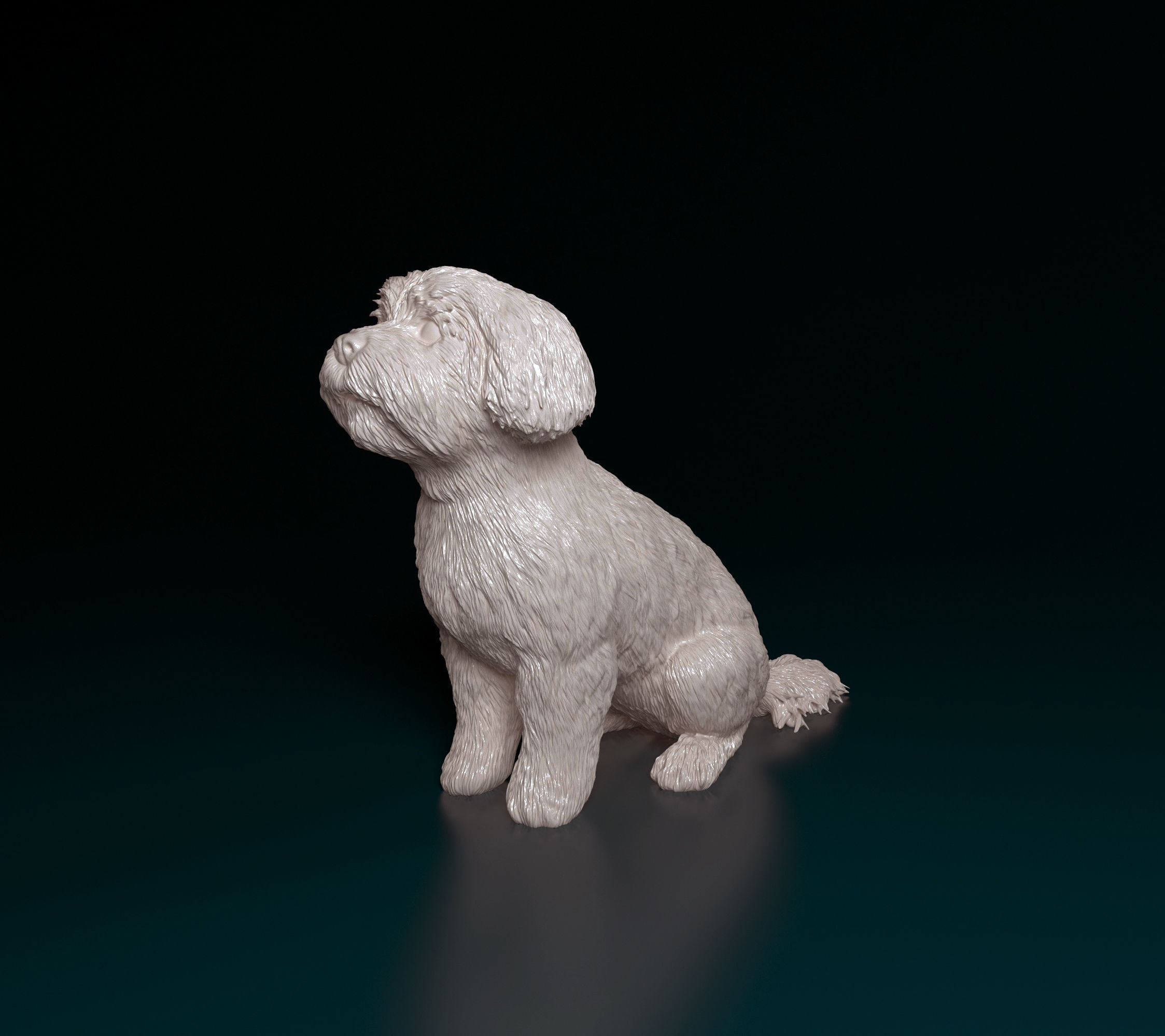 Maltese dog 3D model 3D printable | CGTrader