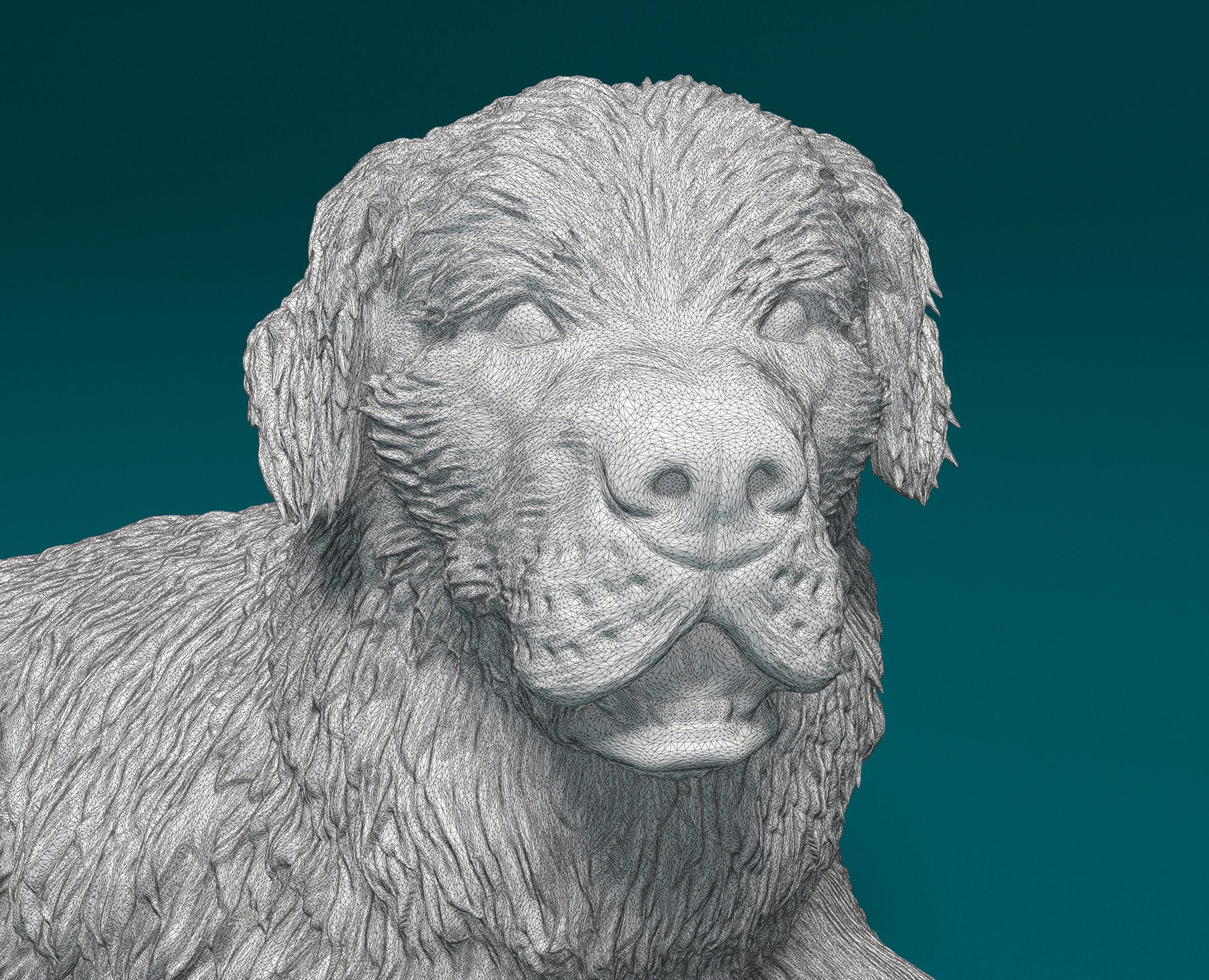Newfoundland dog 3D model 3D printable | CGTrader