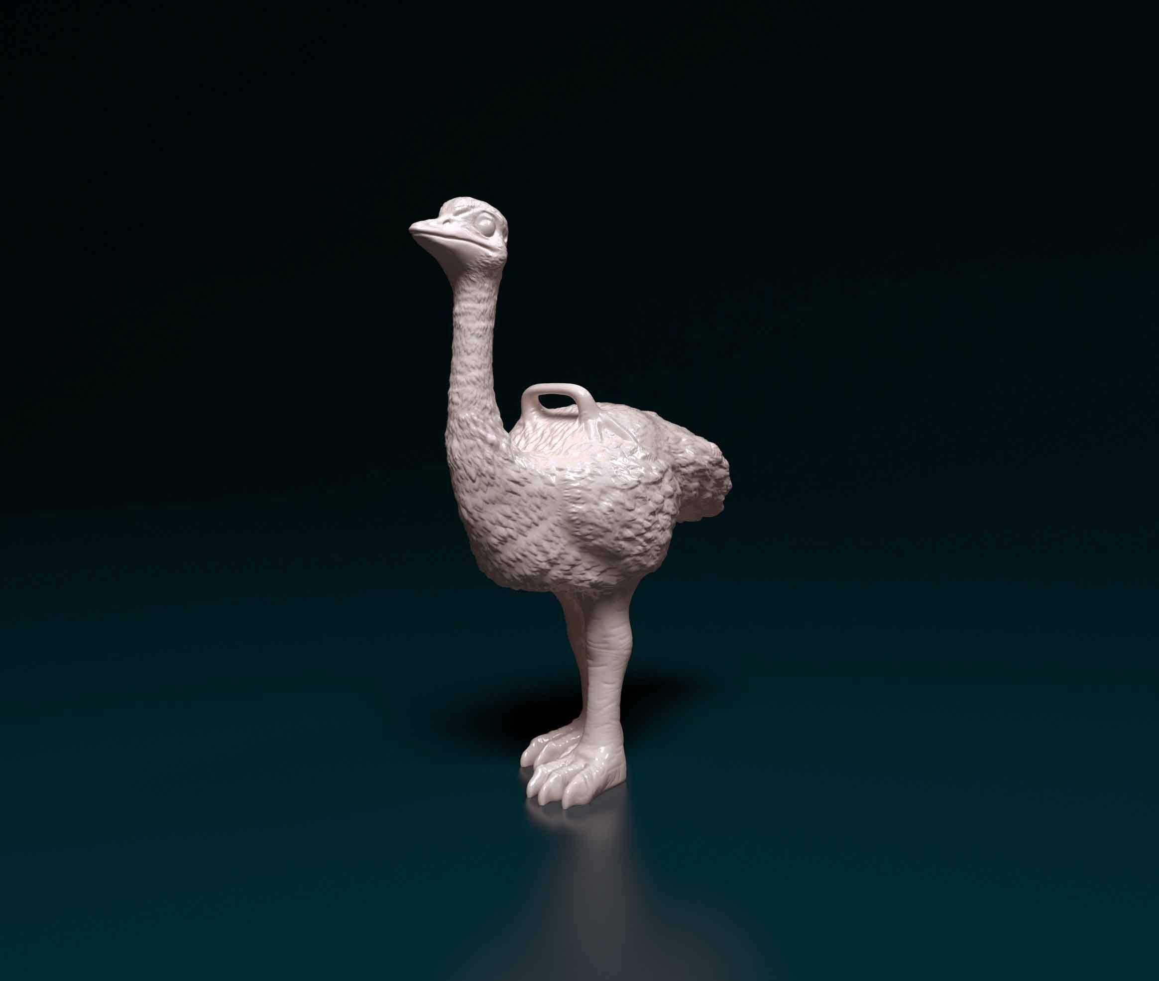 Ostrich 3D model 3D printable | CGTrader