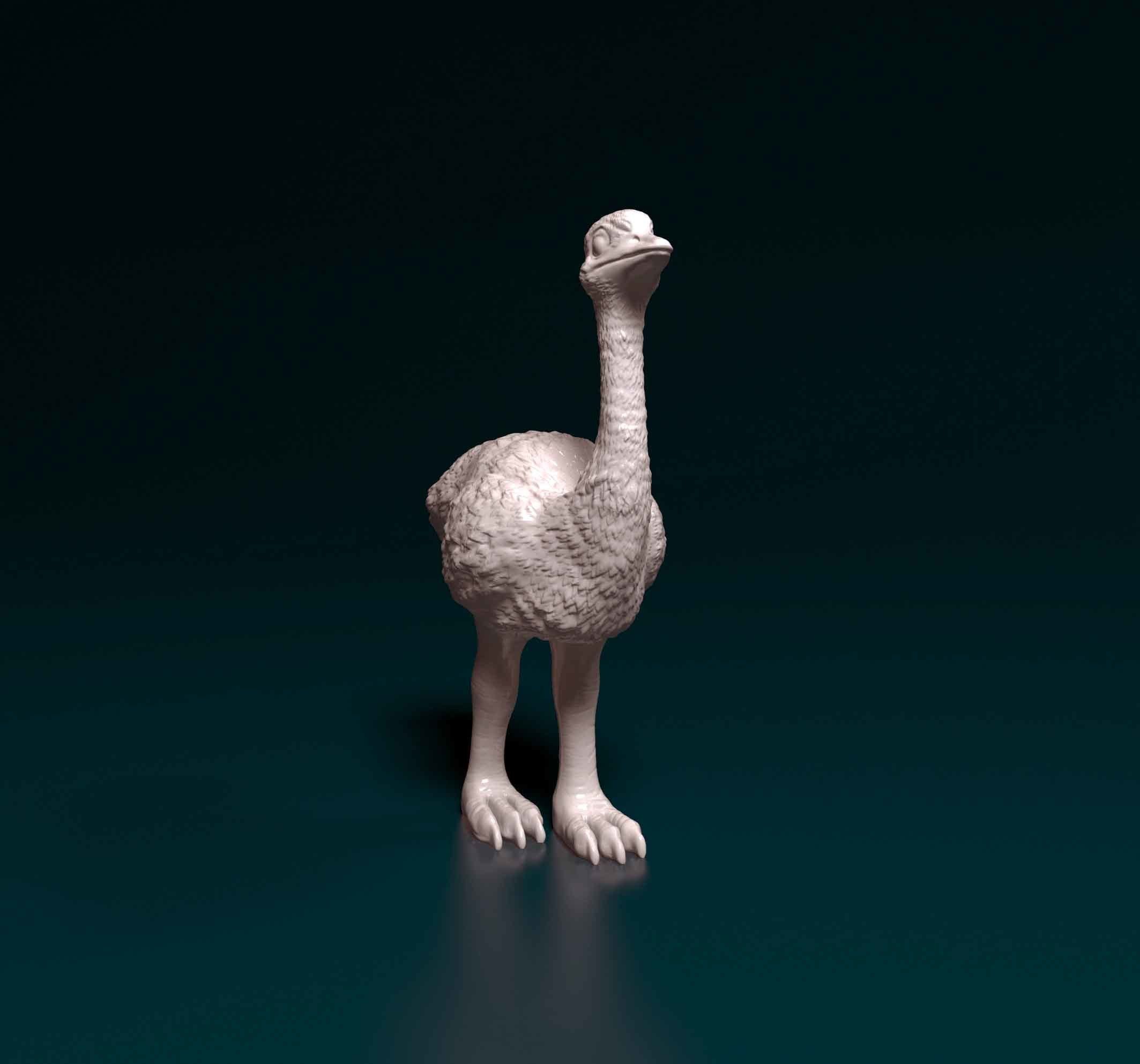 Ostrich 3D model 3D printable | CGTrader