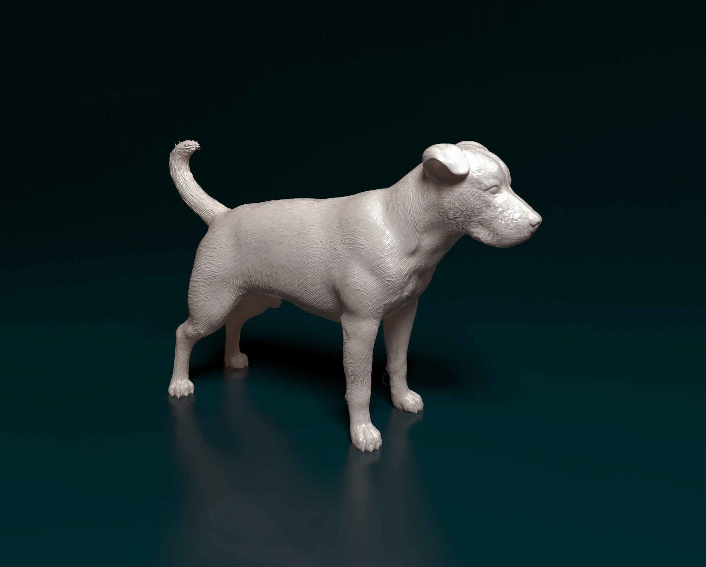Pitbull terrier 3D model 3D printable | CGTrader