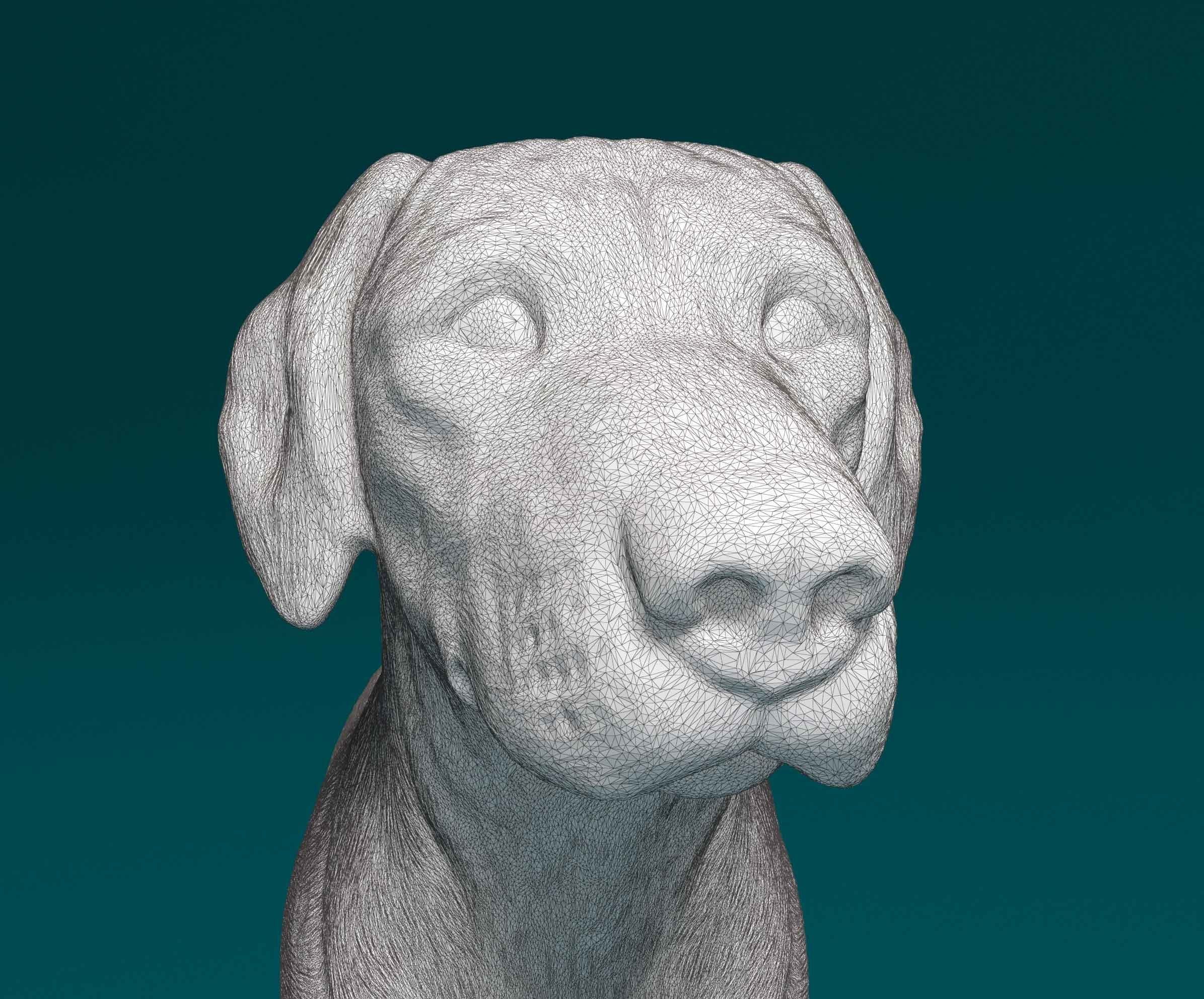 Rhodesian Ridgeback 3D model 3D printable | CGTrader