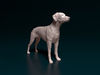 Rhodesian Ridgeback 3D model 3D printable | CGTrader