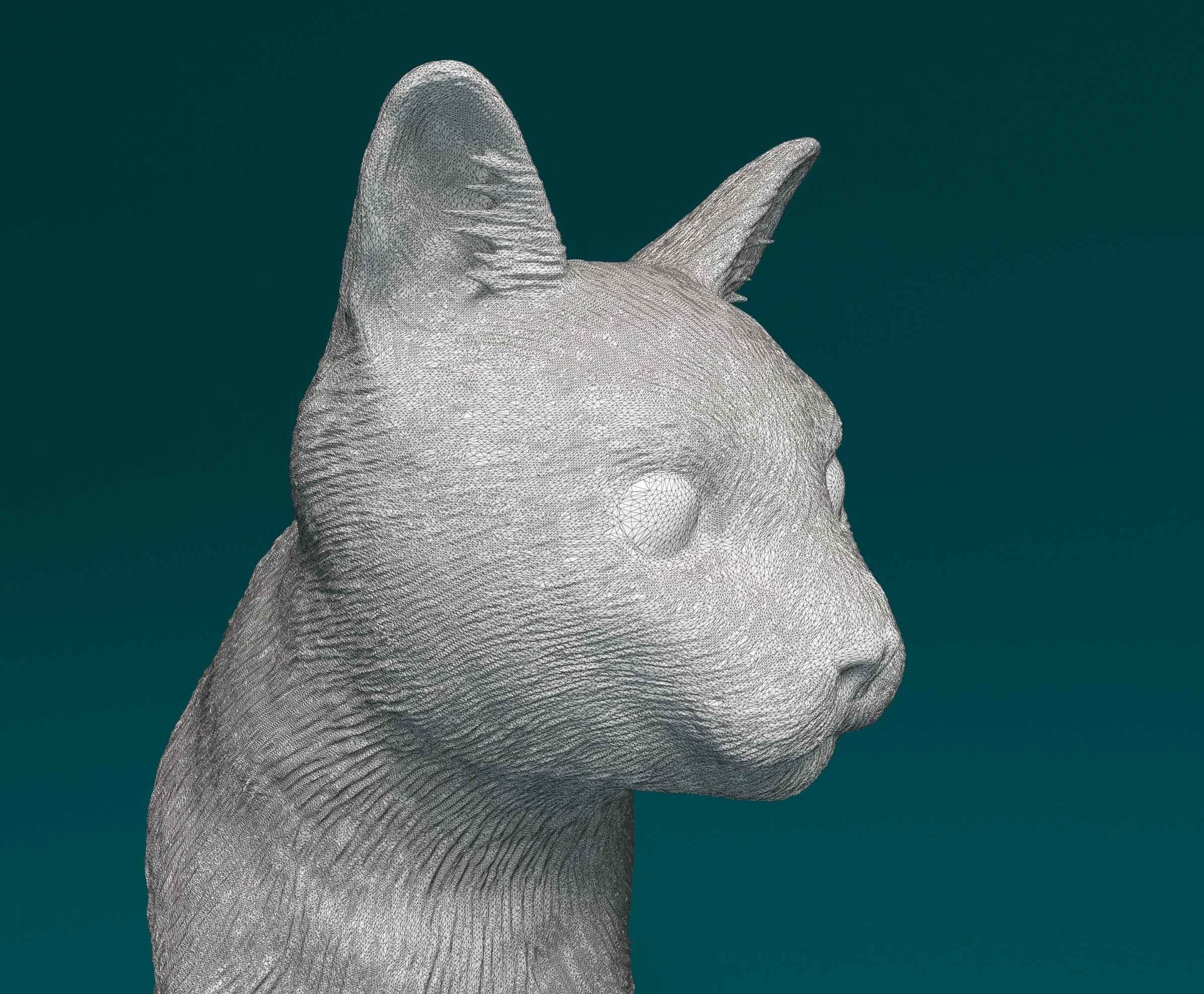 Russian Blue cat 3D model 3D printable | CGTrader