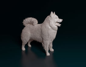 Samoyed 3D Print Models | CGTrader