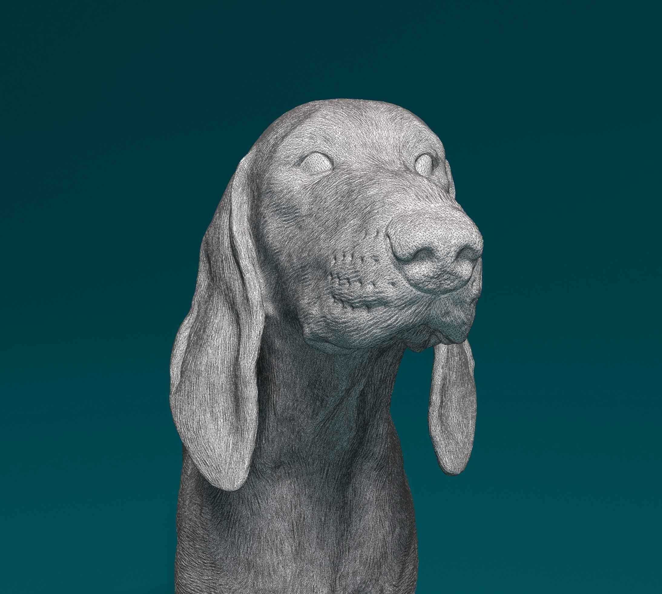 Italian Segugio dog 3D model 3D printable | CGTrader
