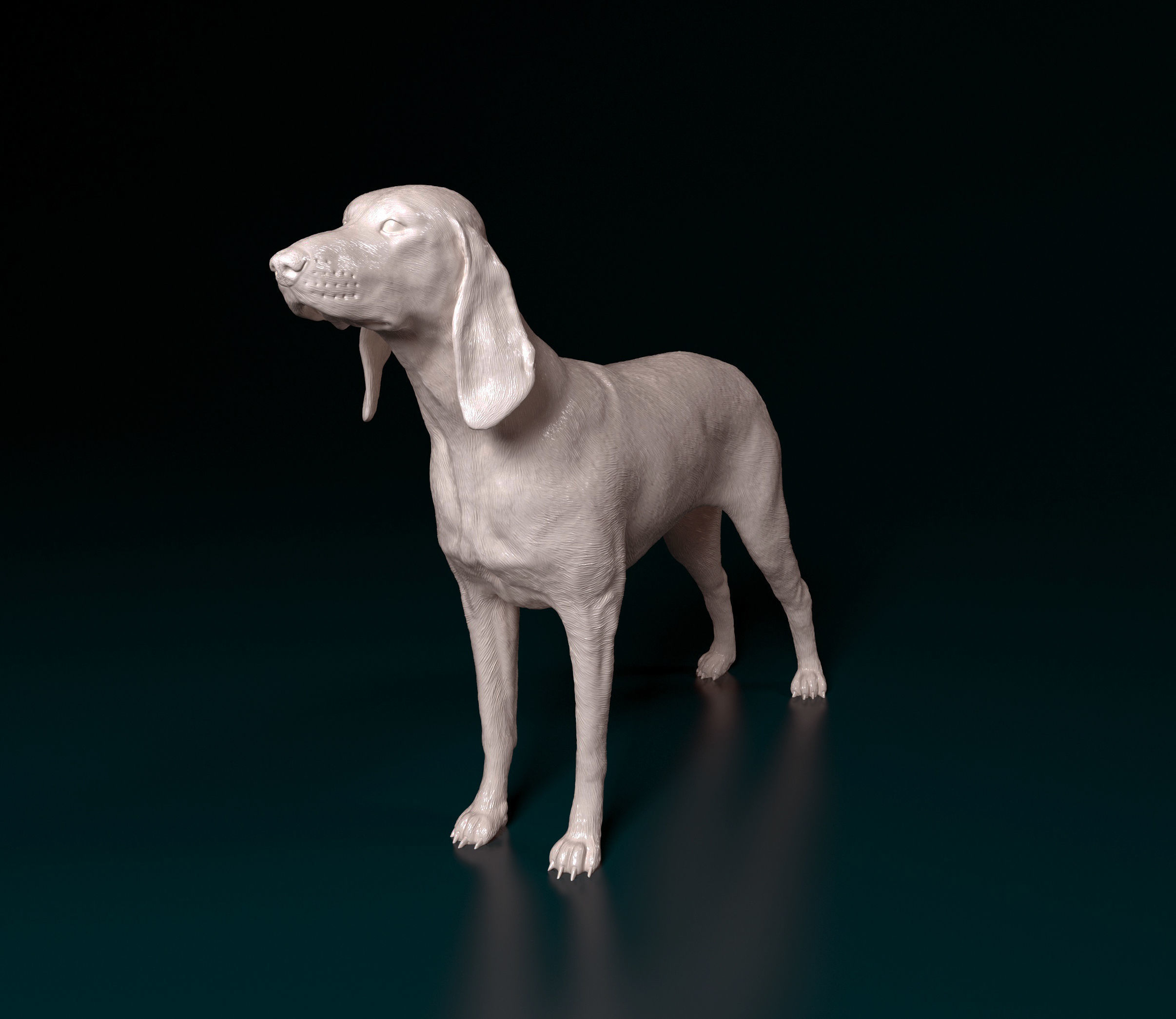Italian Segugio dog 3D model 3D printable | CGTrader