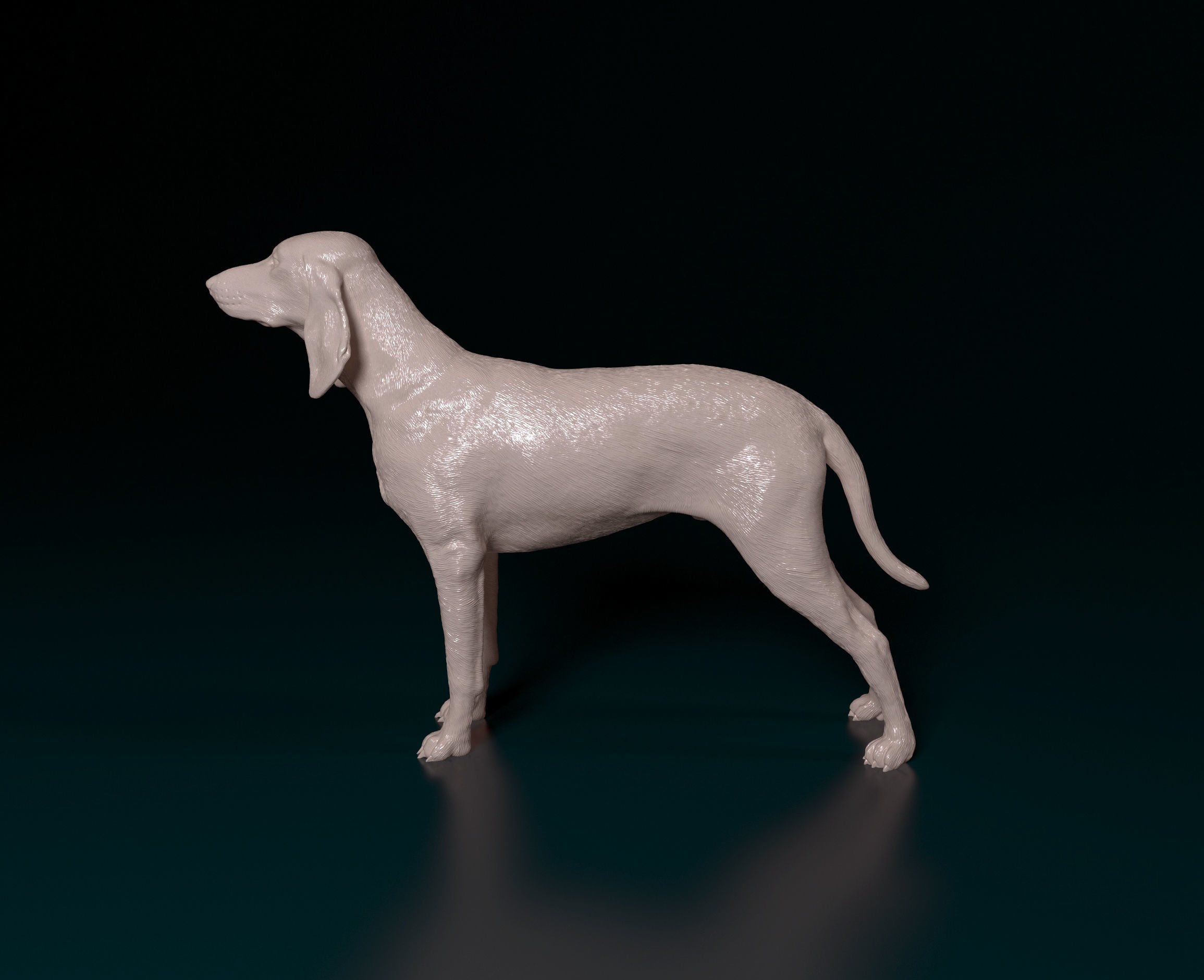 Italian Segugio dog 3D model 3D printable | CGTrader
