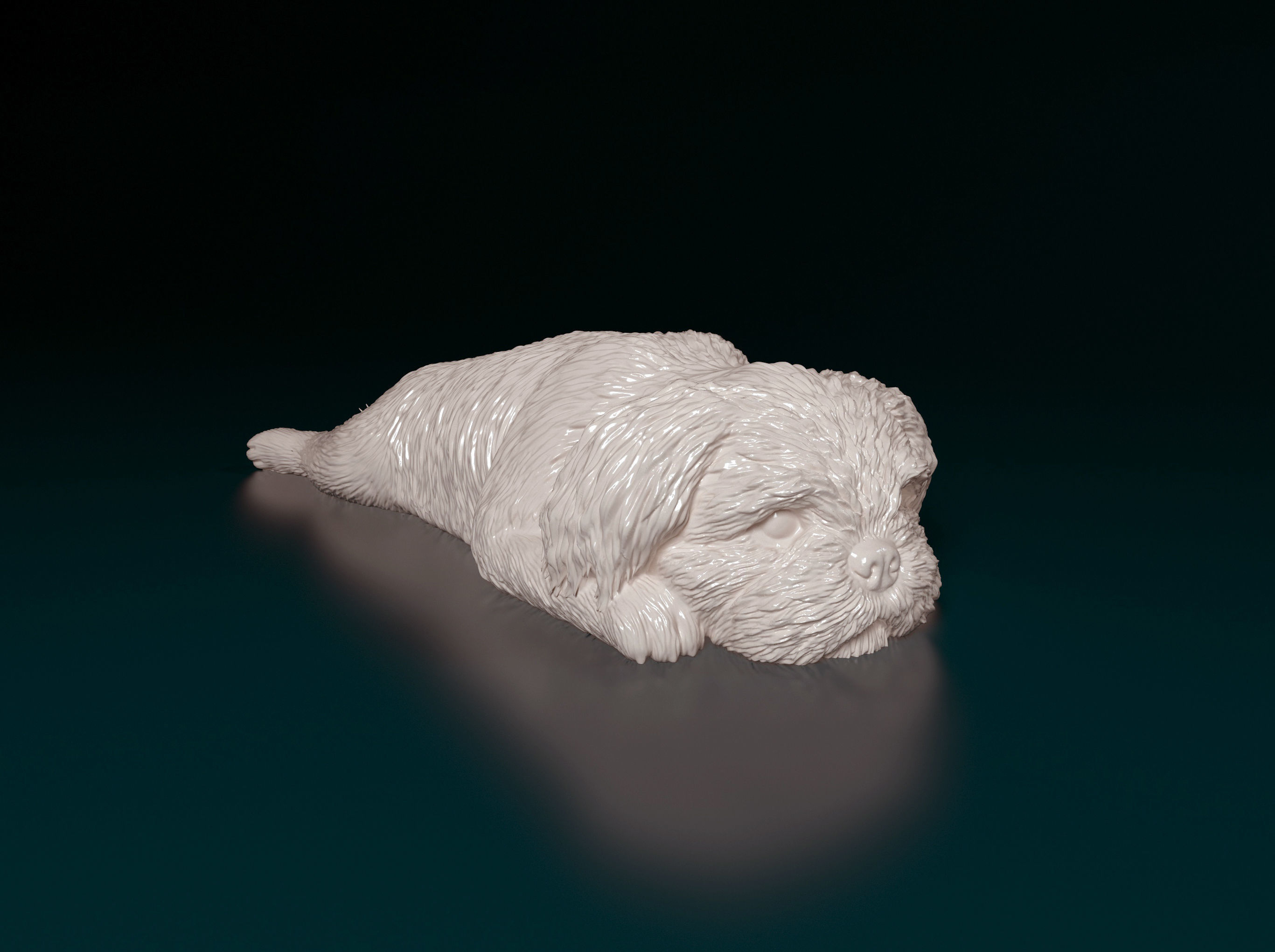 Shih Tzu 3D model 3D printable | CGTrader