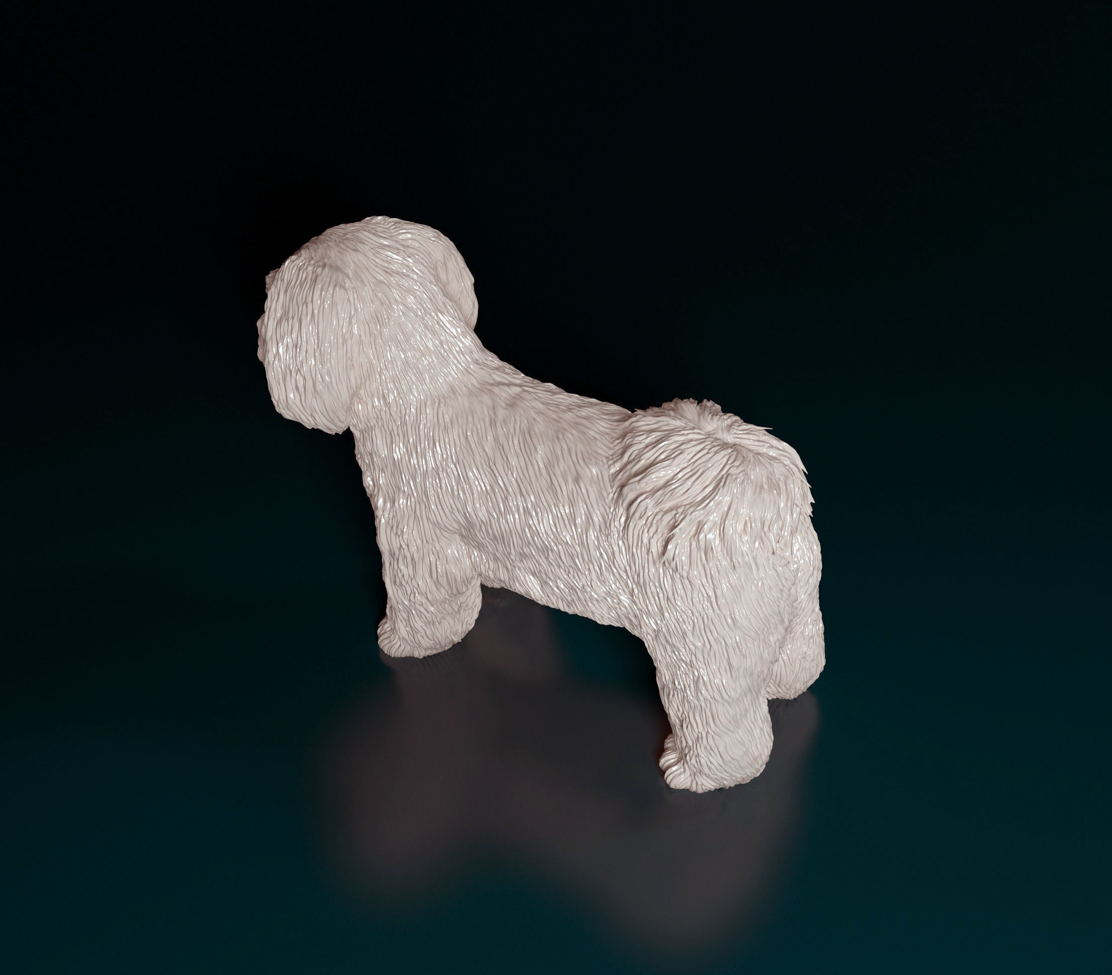 Shih Tzu dog 3D model 3D printable | CGTrader