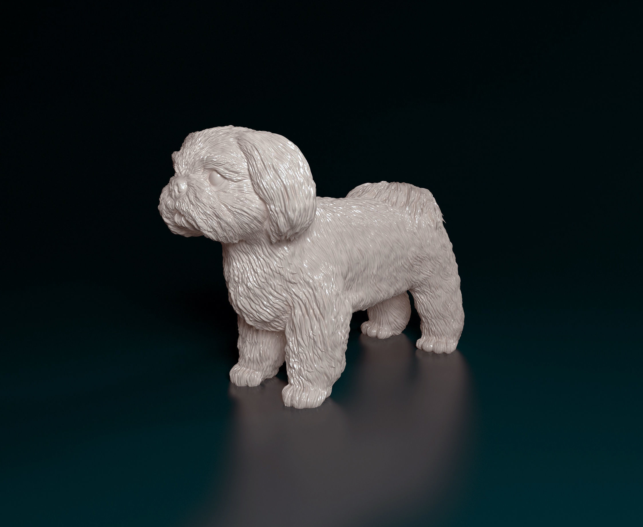 Shih Tzu dog 3D model 3D printable | CGTrader