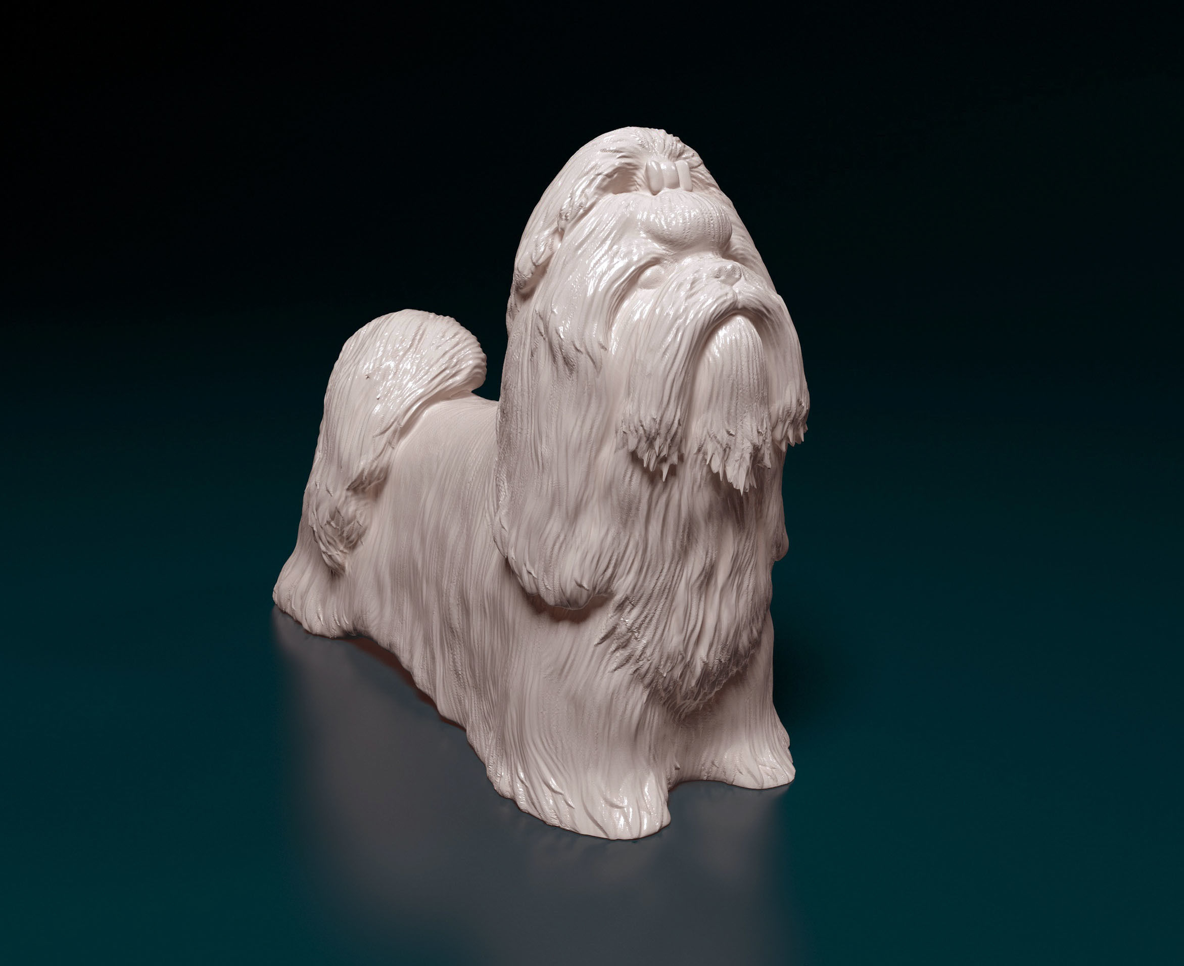 Shih Tzu 3D model 3D printable | CGTrader