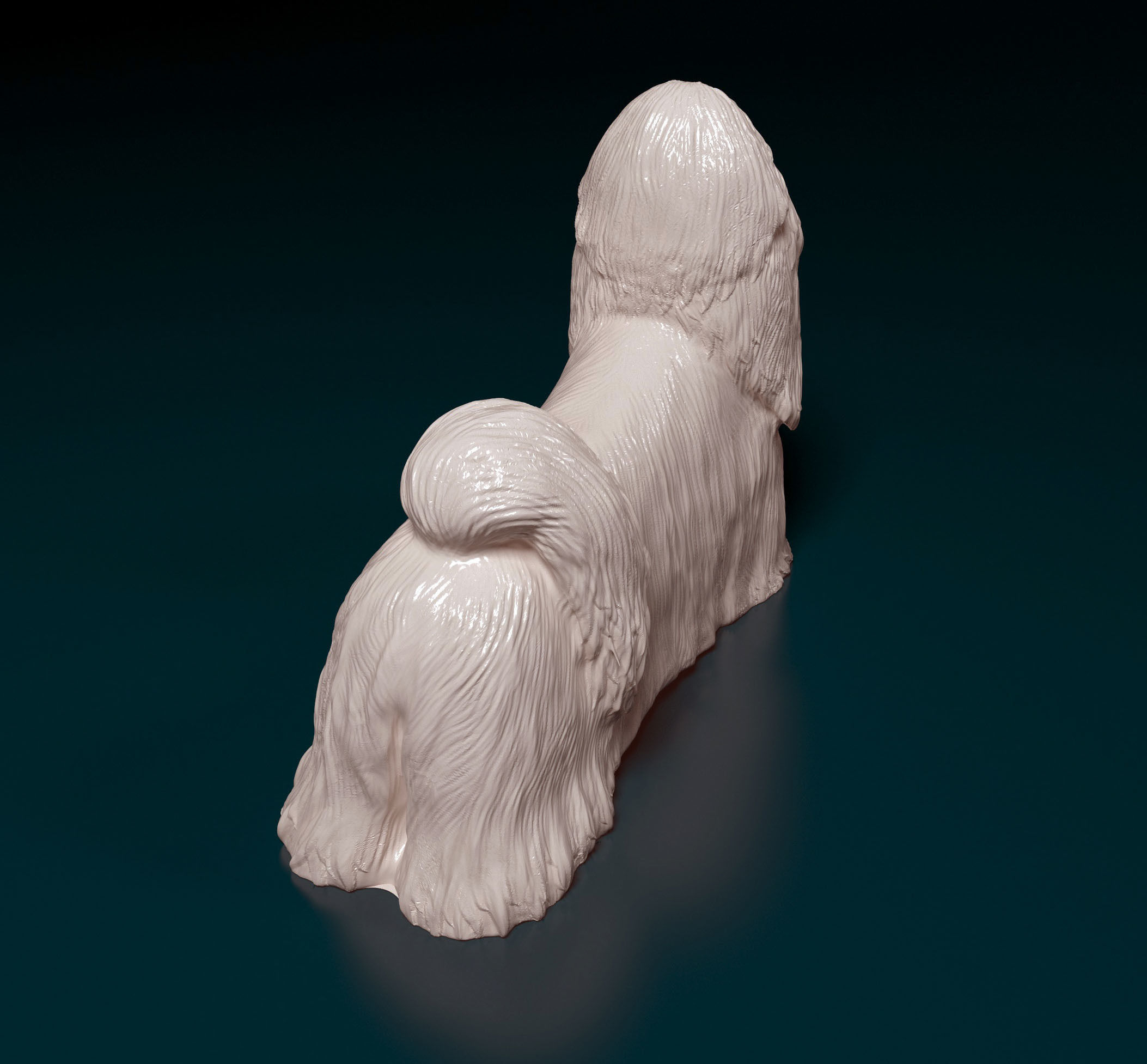 Shih Tzu 3D model 3D printable | CGTrader