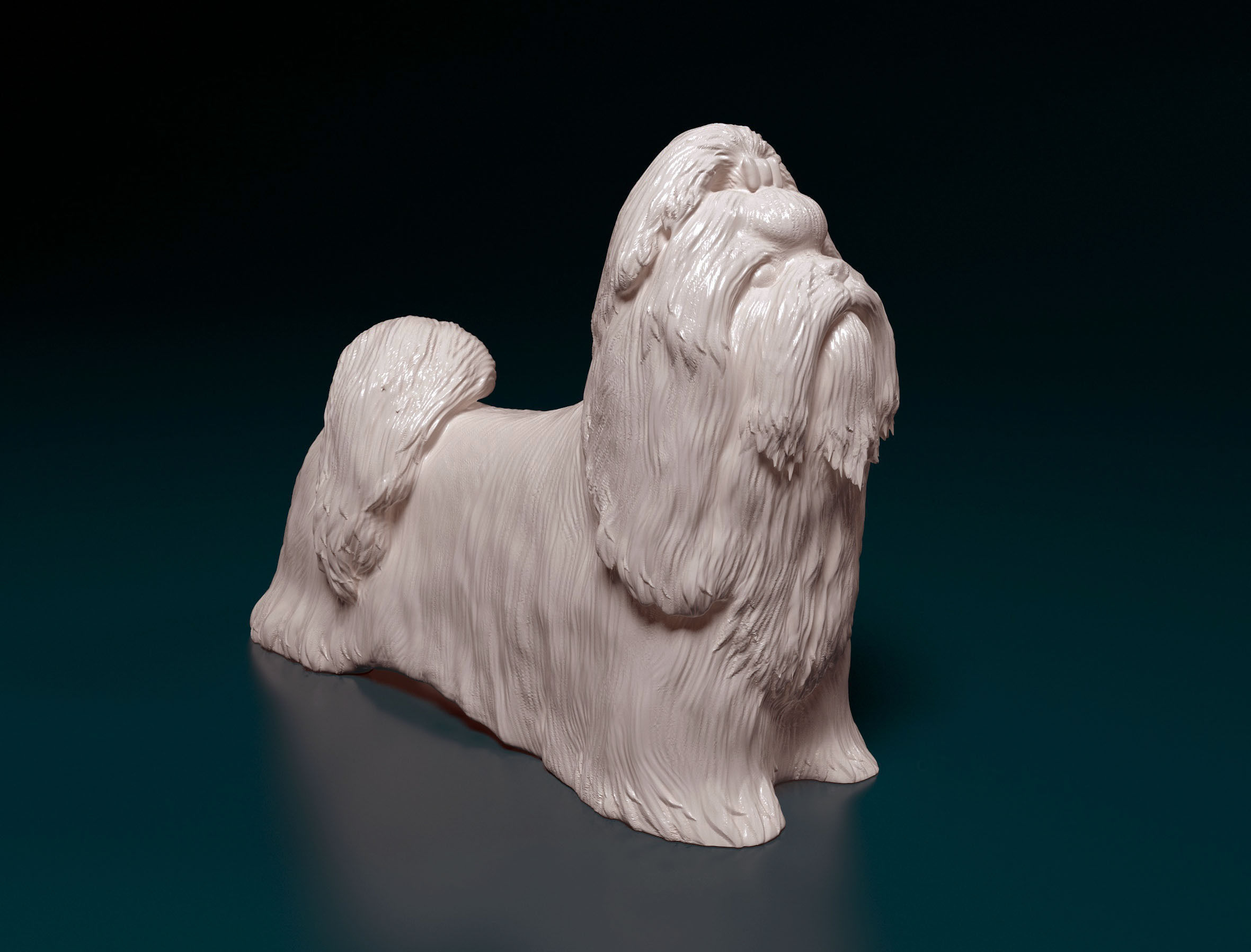 Shih Tzu 3D model 3D printable | CGTrader