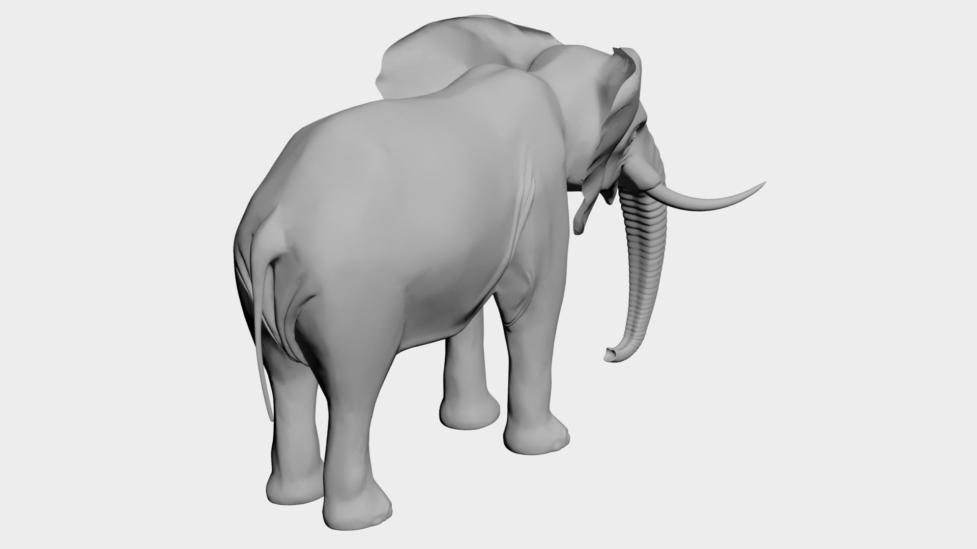 Elephant-wild animals 3D model | CGTrader