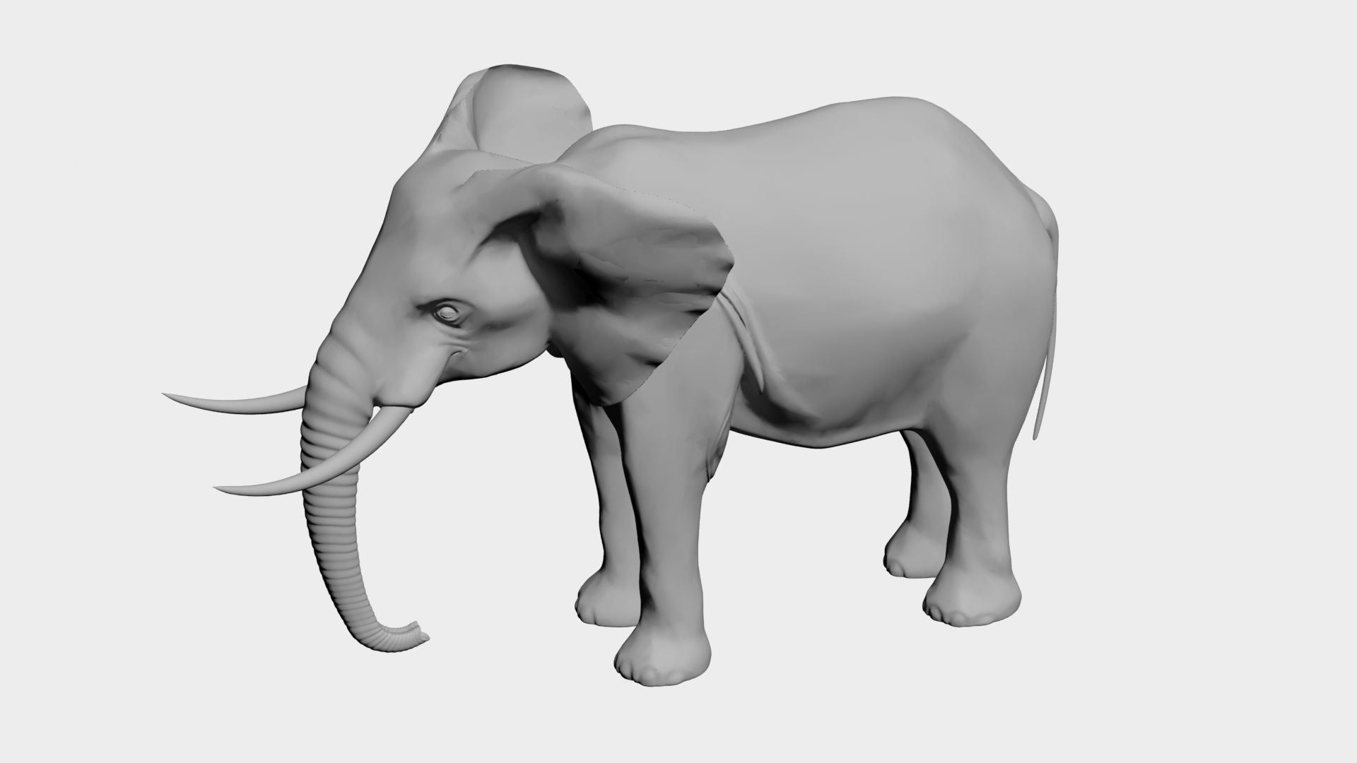 Elephant-wild animals 3D model | CGTrader