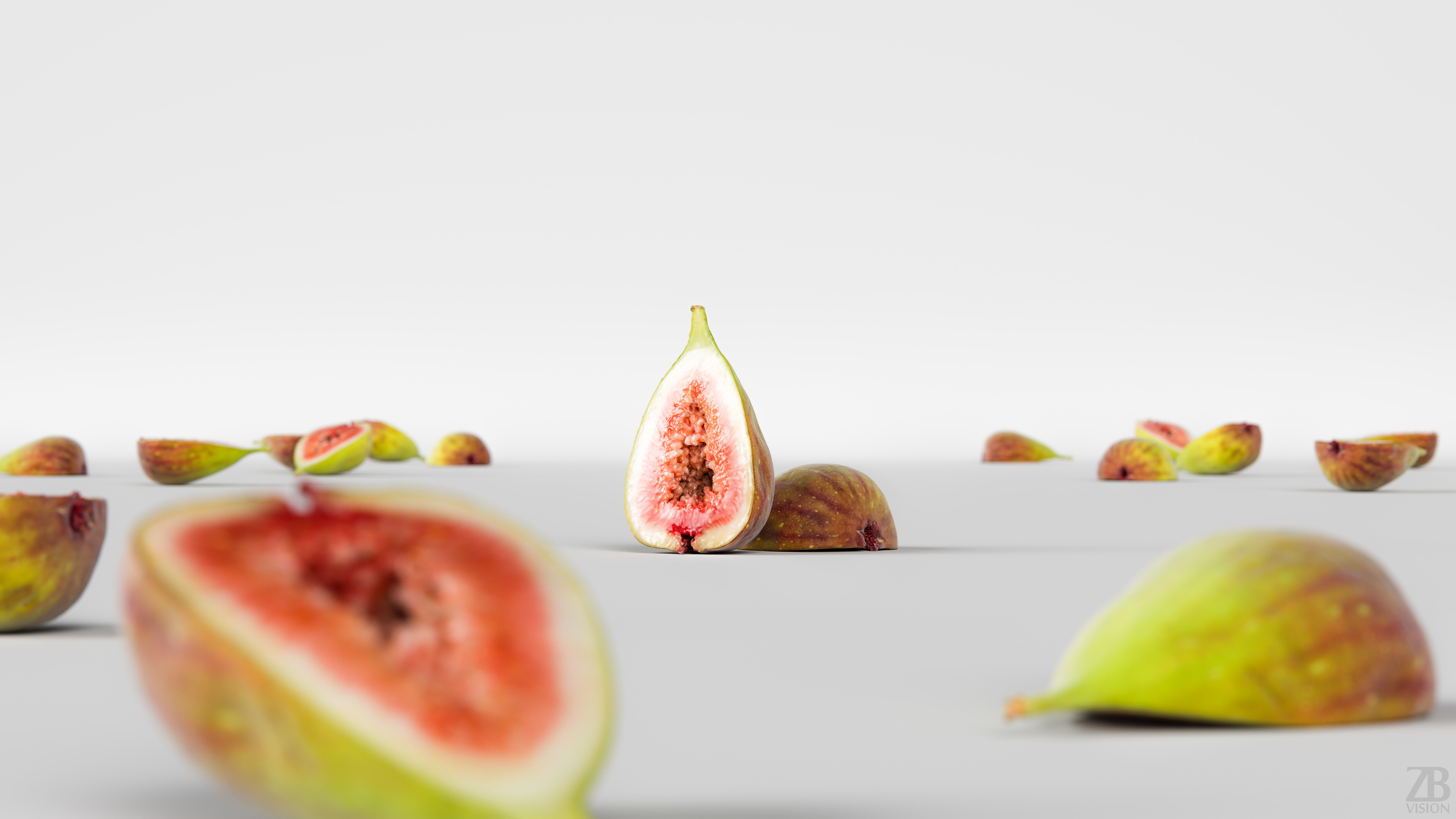 Fig 3D model | CGTrader