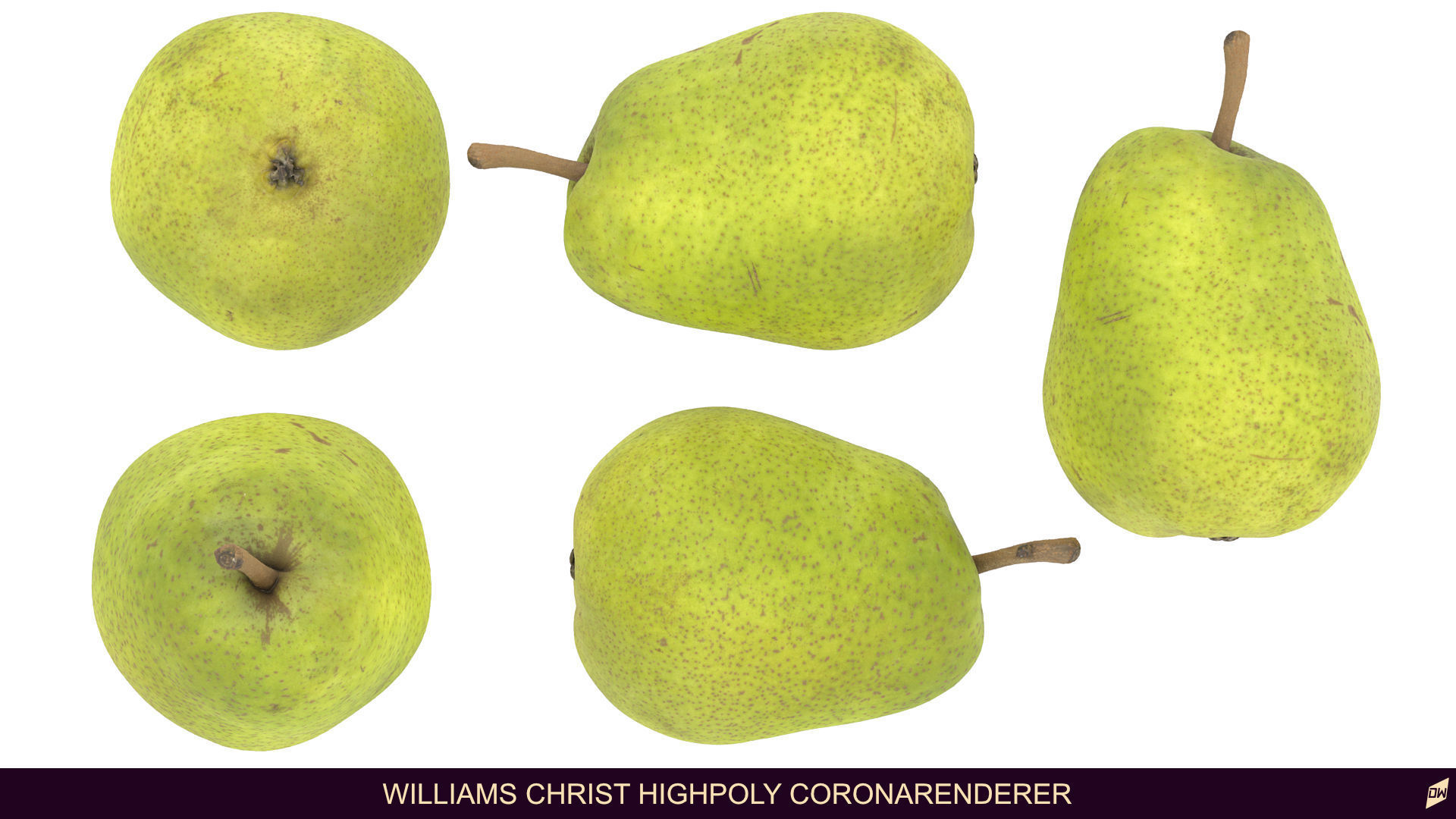 Pear Williams Christ and Sweet Sensation 3D model | CGTrader