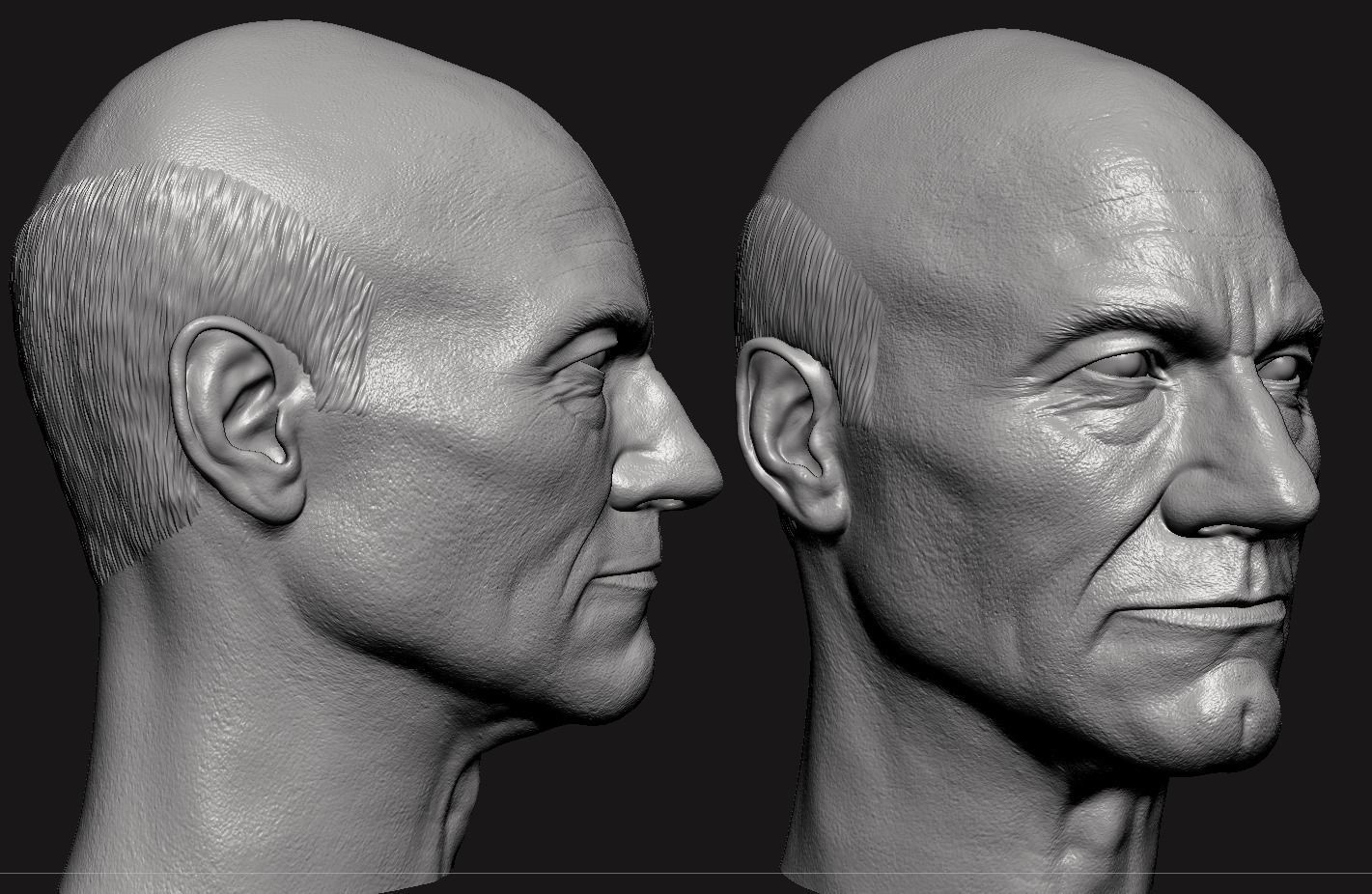 Patrick Stewart Head 3D model 3D printable | CGTrader