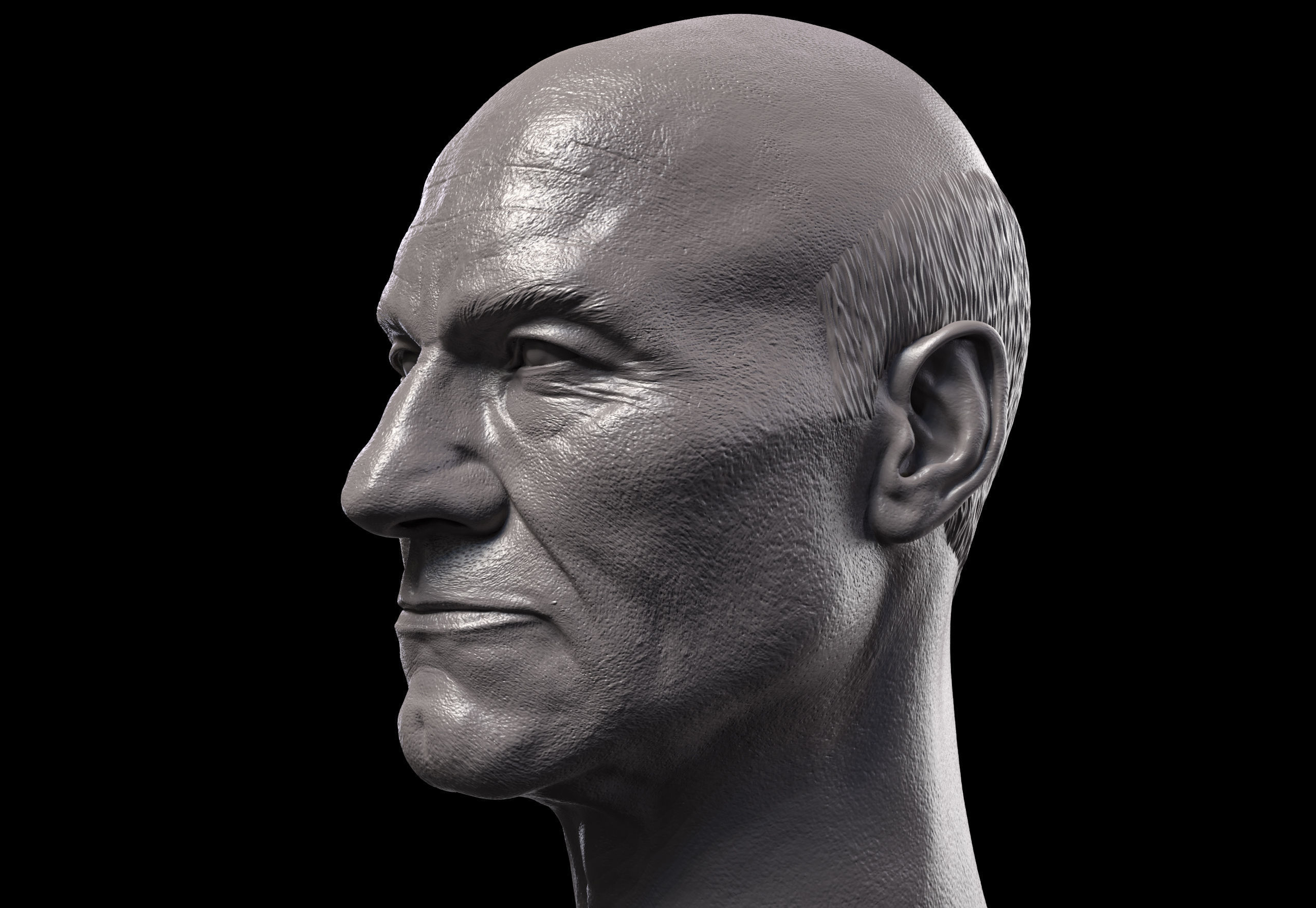 Patrick Stewart Head 3D model 3D printable | CGTrader
