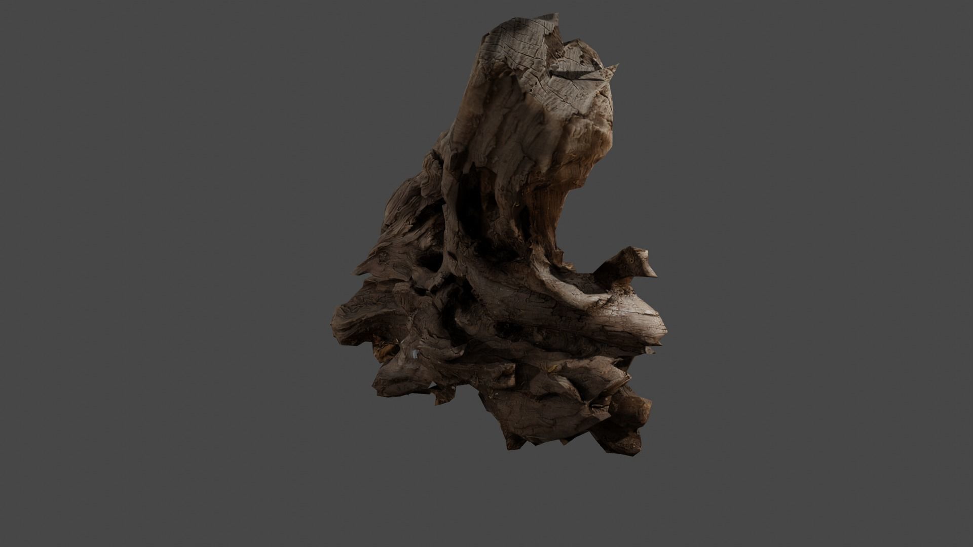3D Scan of Tree Trunk with Peculiar Shape 3D model | CGTrader