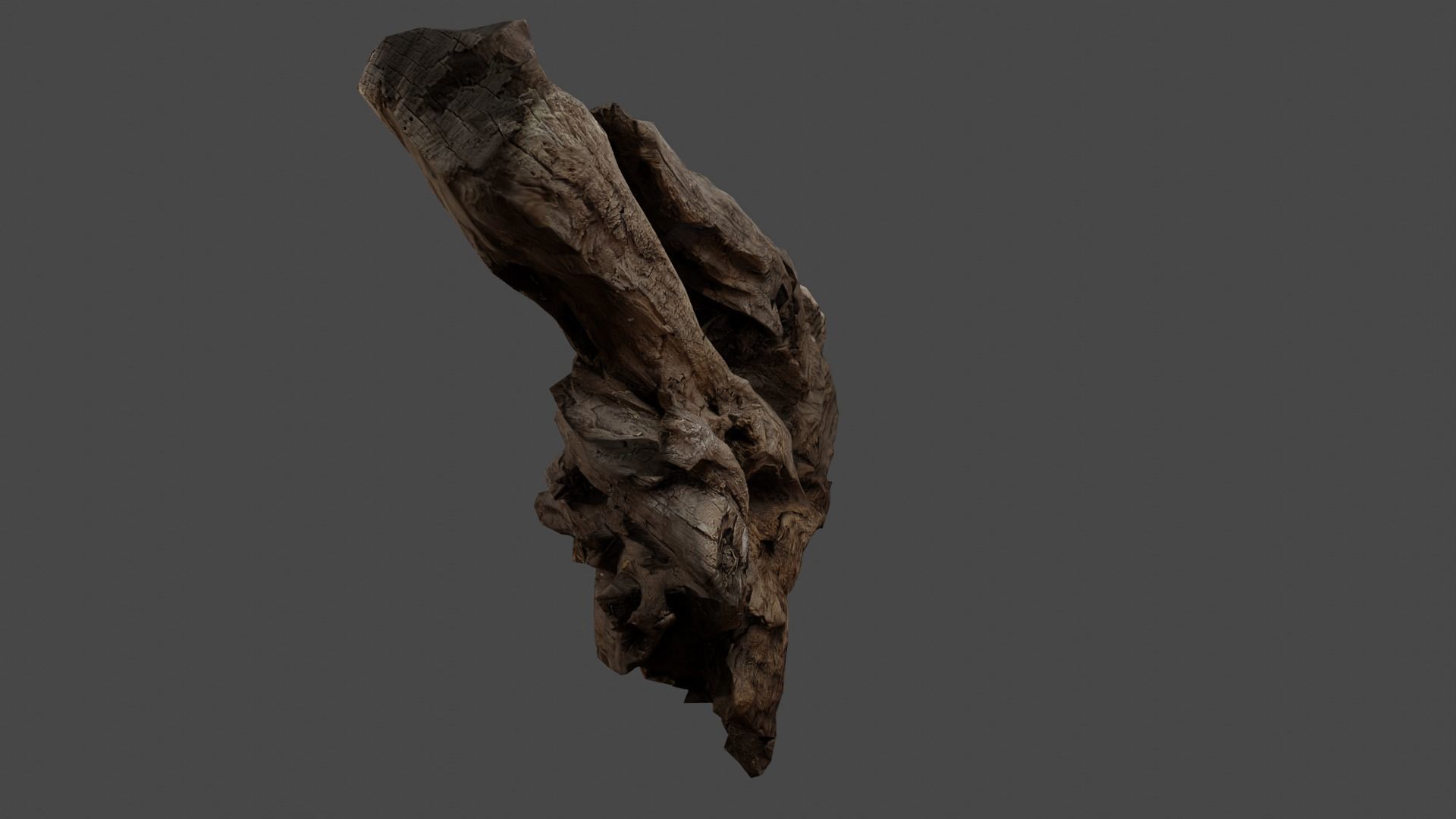 3D Scan of Tree Trunk with Peculiar Shape 3D model | CGTrader