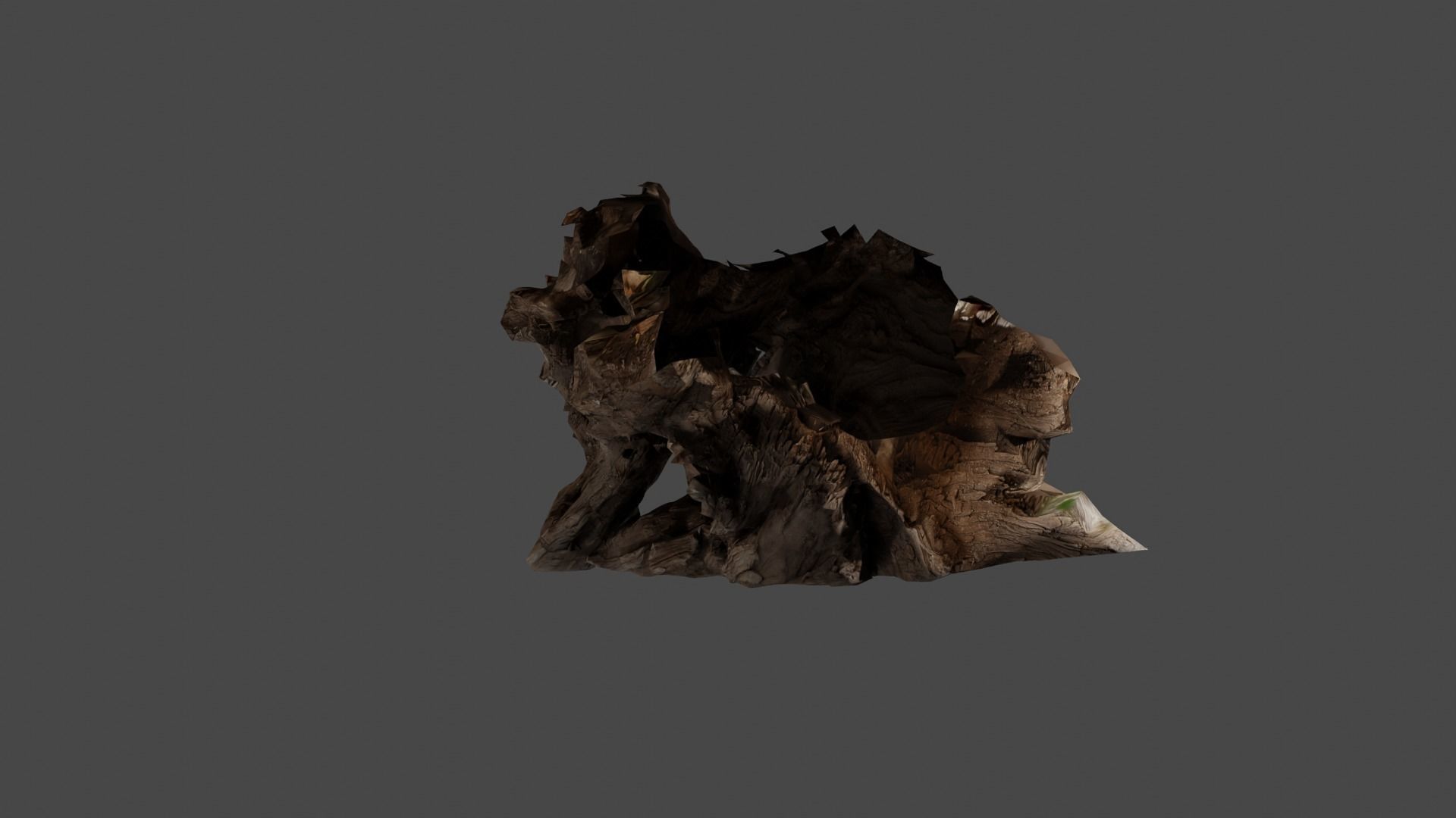3D Scan of Tree Trunk with Peculiar Shape 3D model | CGTrader