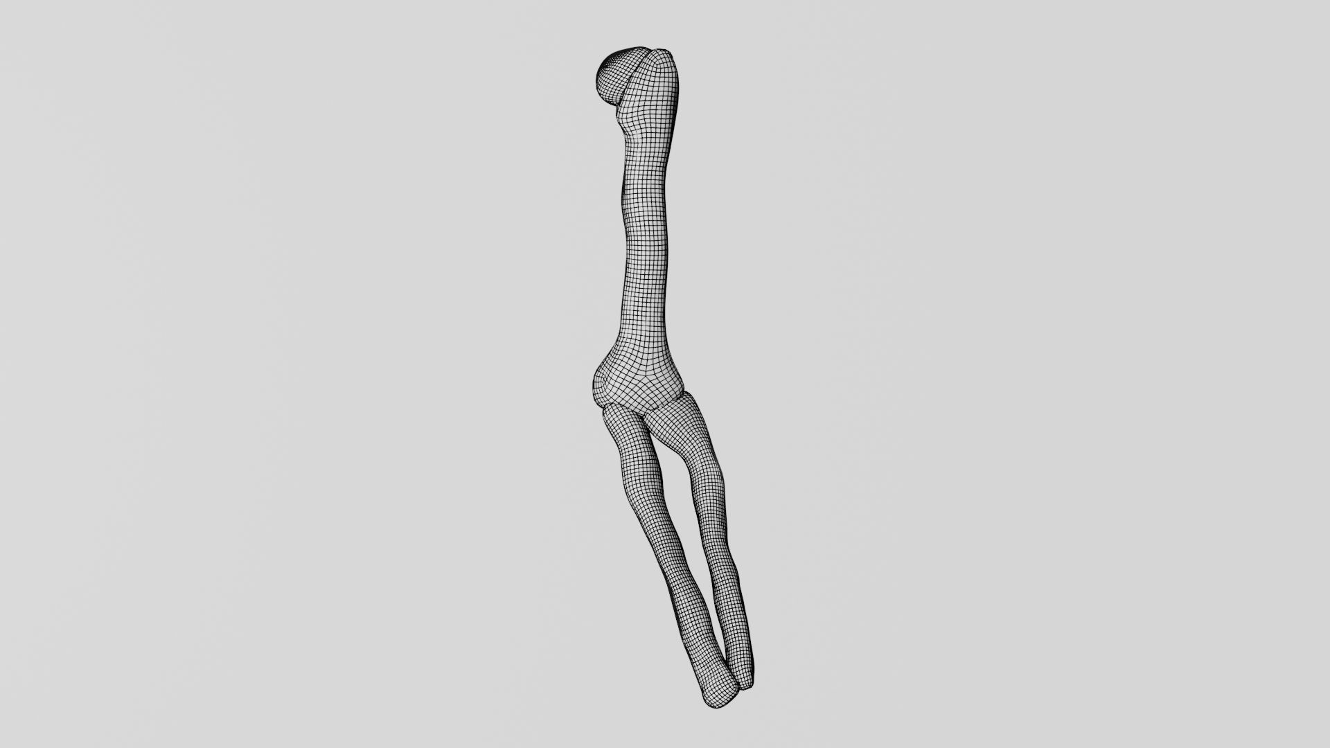 Humerus leg 3D model | CGTrader