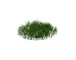 Grass patch 3D Models | CGTrader