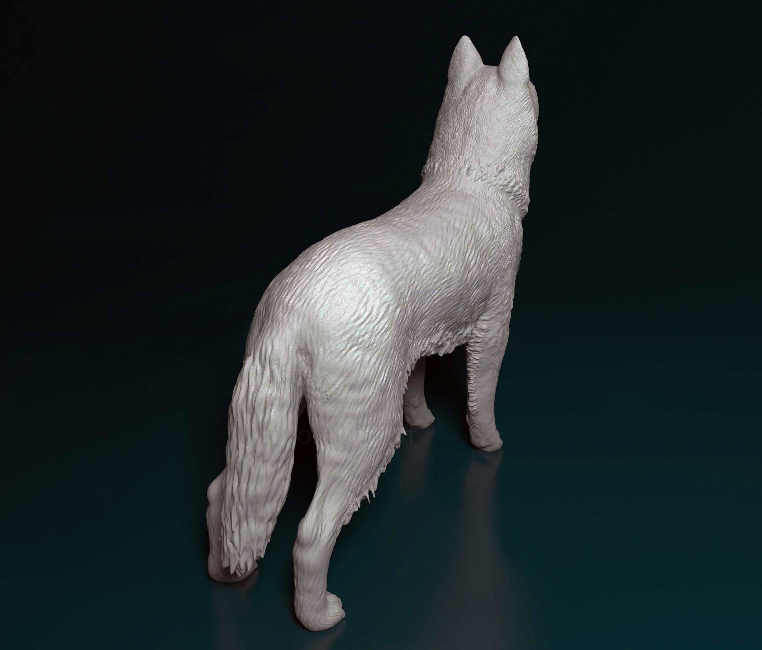 Siberian Husky 3D model 3D printable | CGTrader