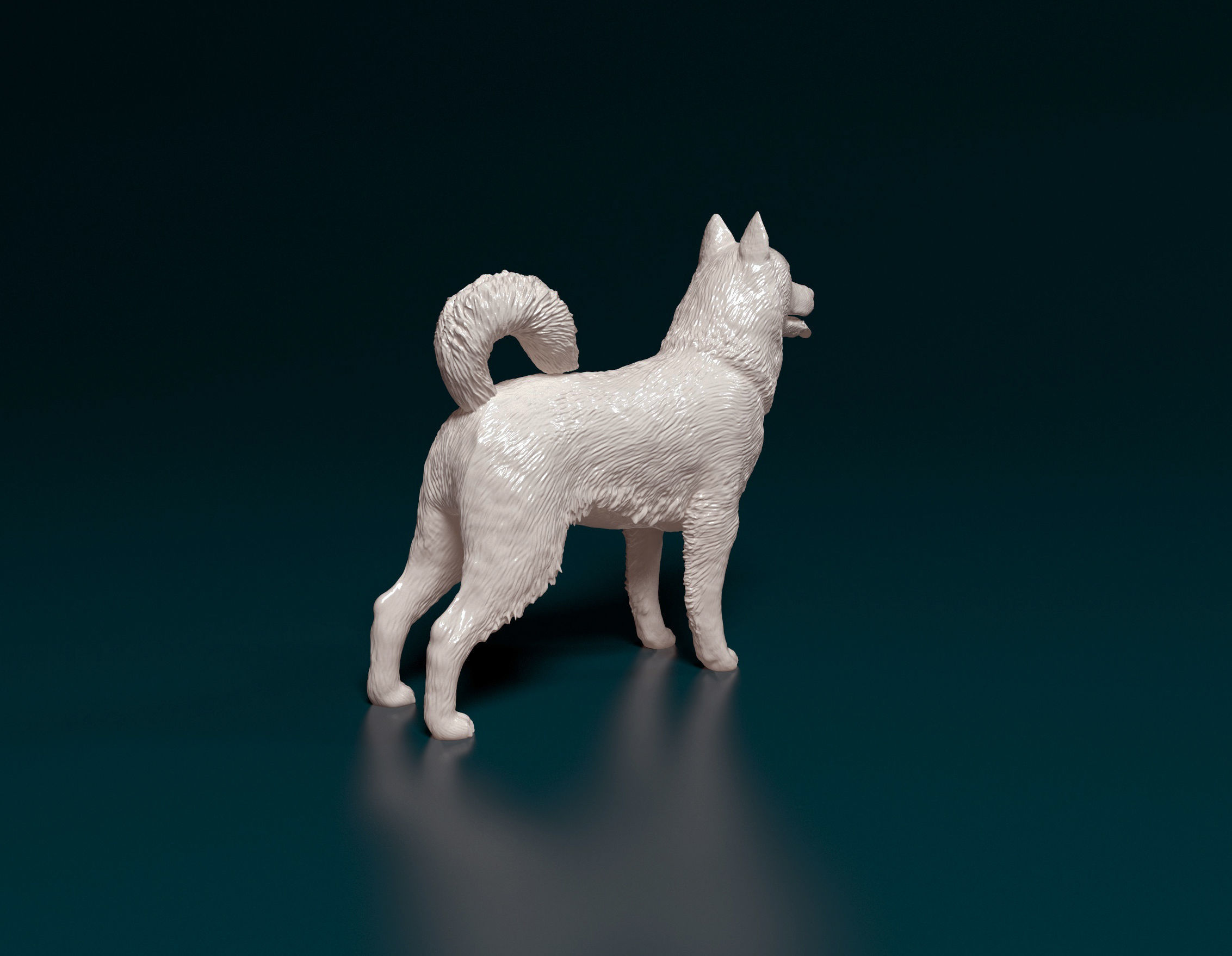 Siberian Husky 3D model 3D printable | CGTrader