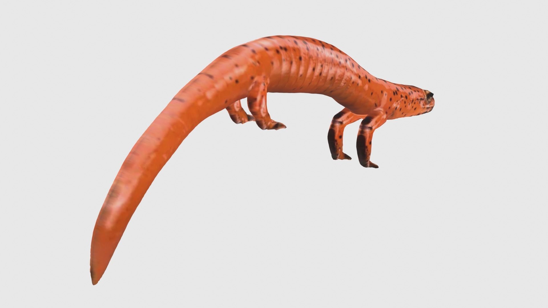 3D model Low Poly Salamander Rigged With Realistic Texture VR / AR ...