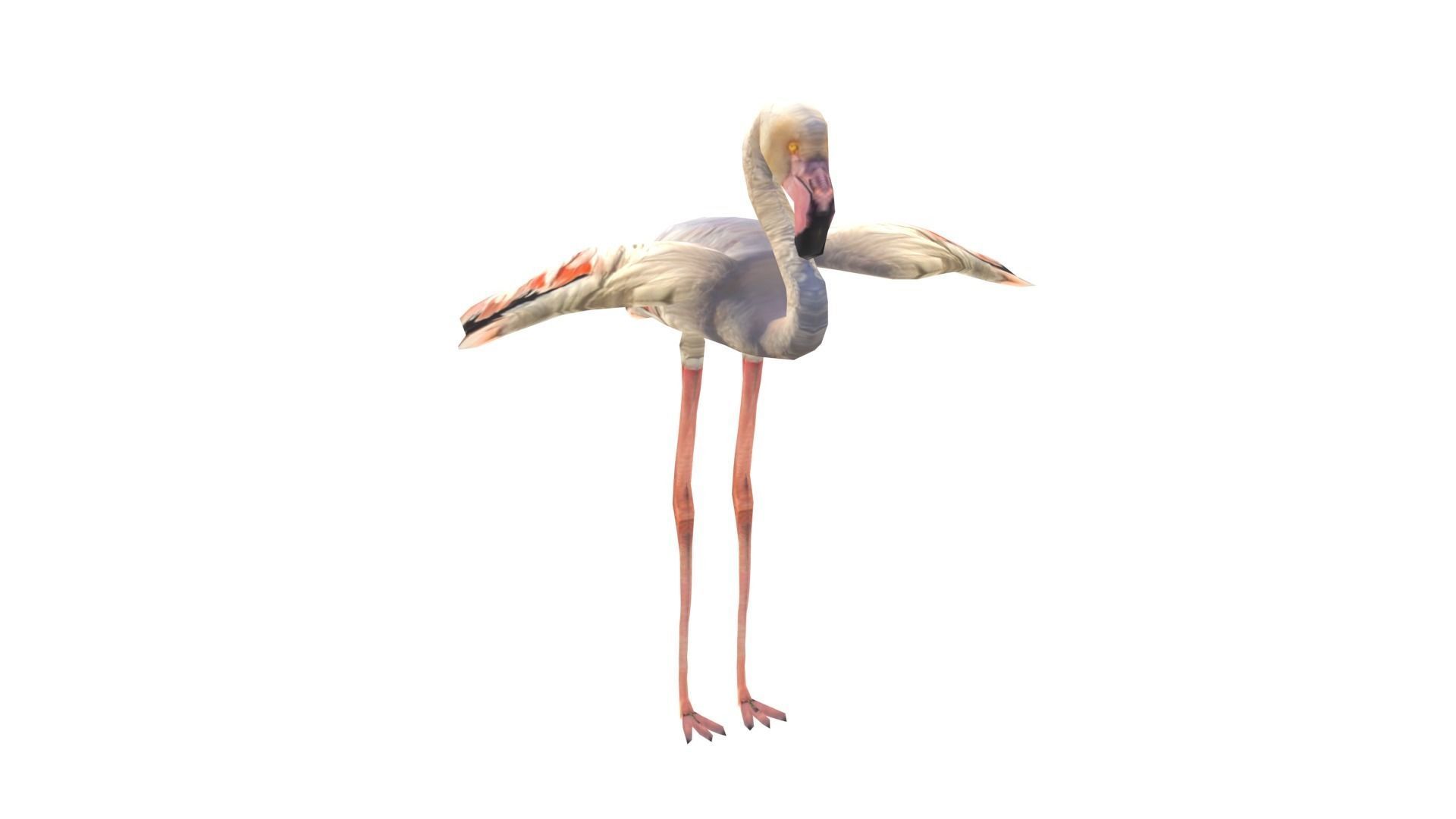 3D model Low Poly Flamingo Rigged With Realistic Texture VR / AR / low ...
