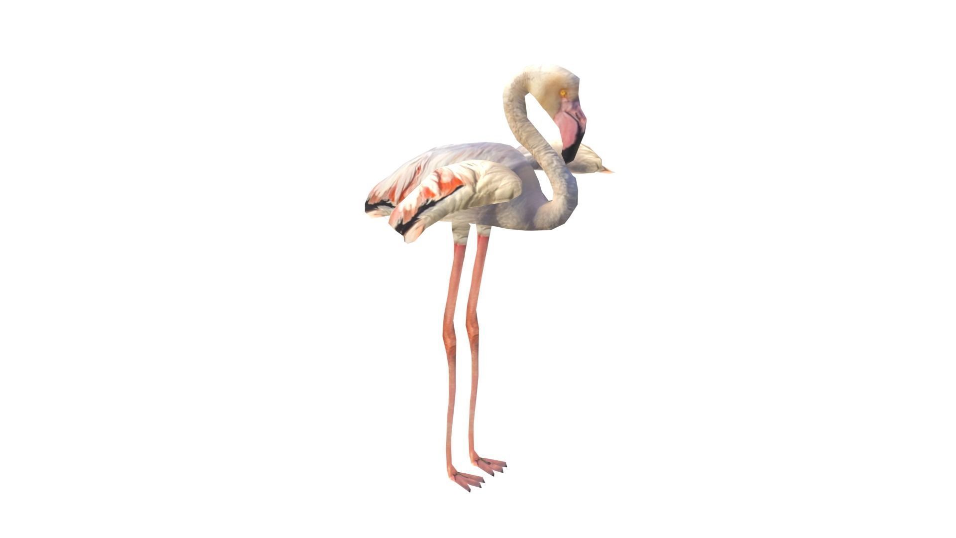 3D model Low Poly Flamingo Rigged With Realistic Texture VR / AR / low ...