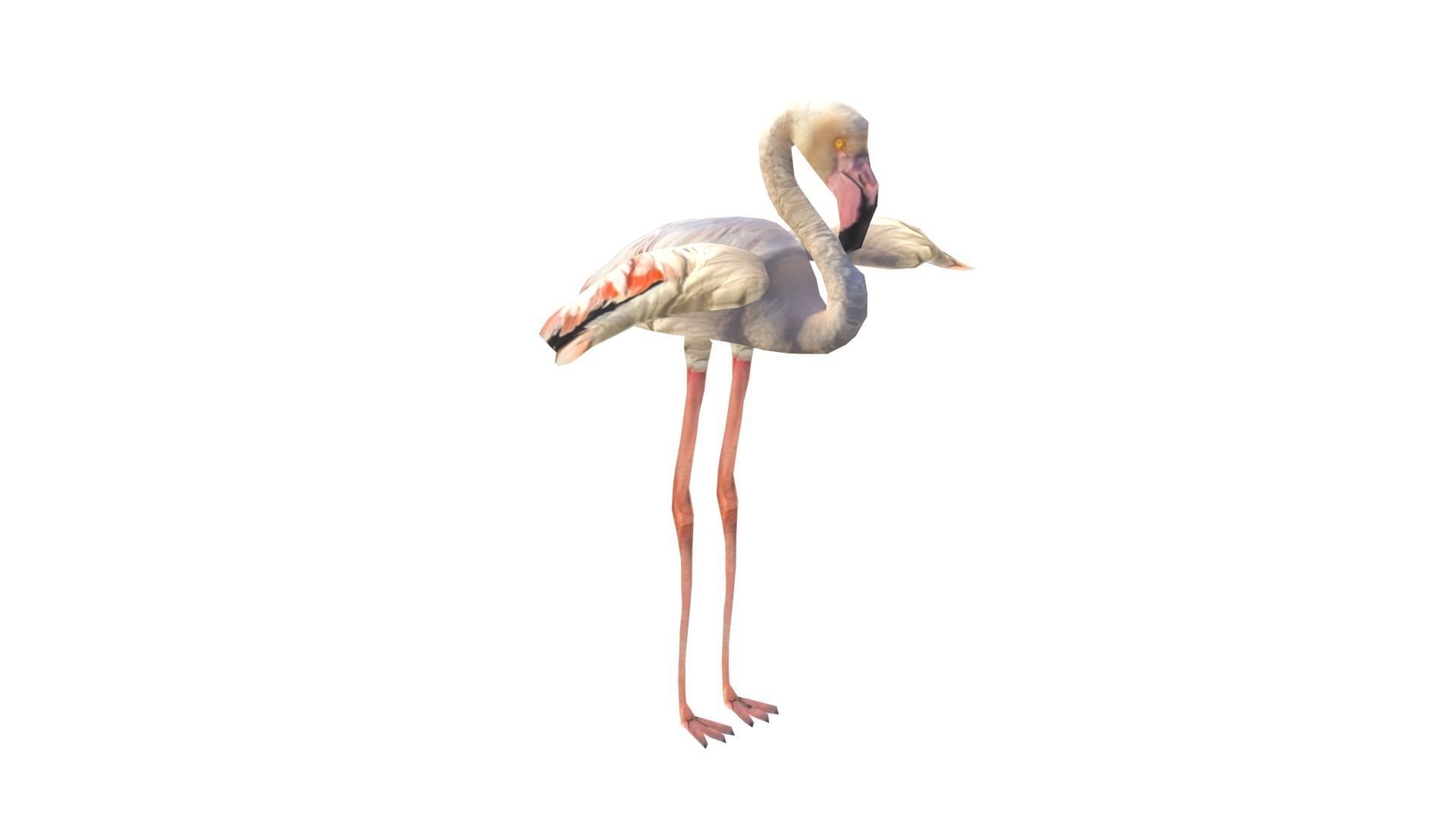 3D model Low Poly Flamingo Rigged With Realistic Texture VR / AR / low ...