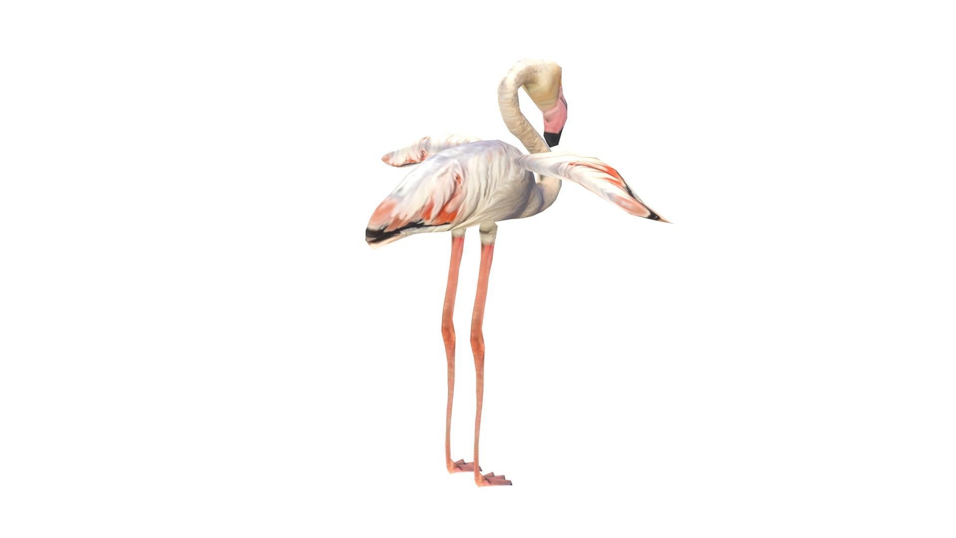 3D model Low Poly Flamingo Rigged With Realistic Texture VR / AR / low ...