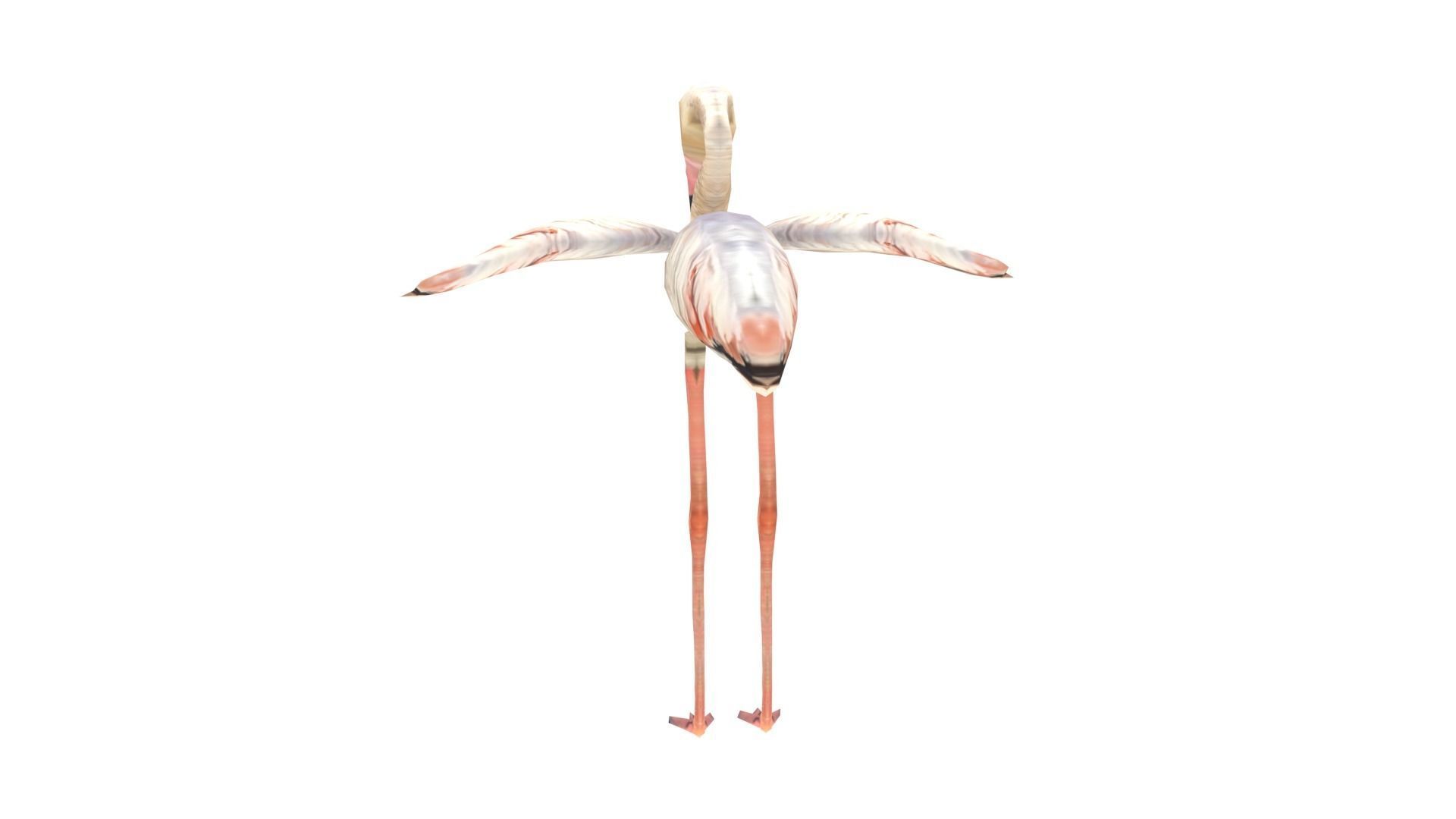 3D model Low Poly Flamingo Rigged With Realistic Texture VR / AR / low ...