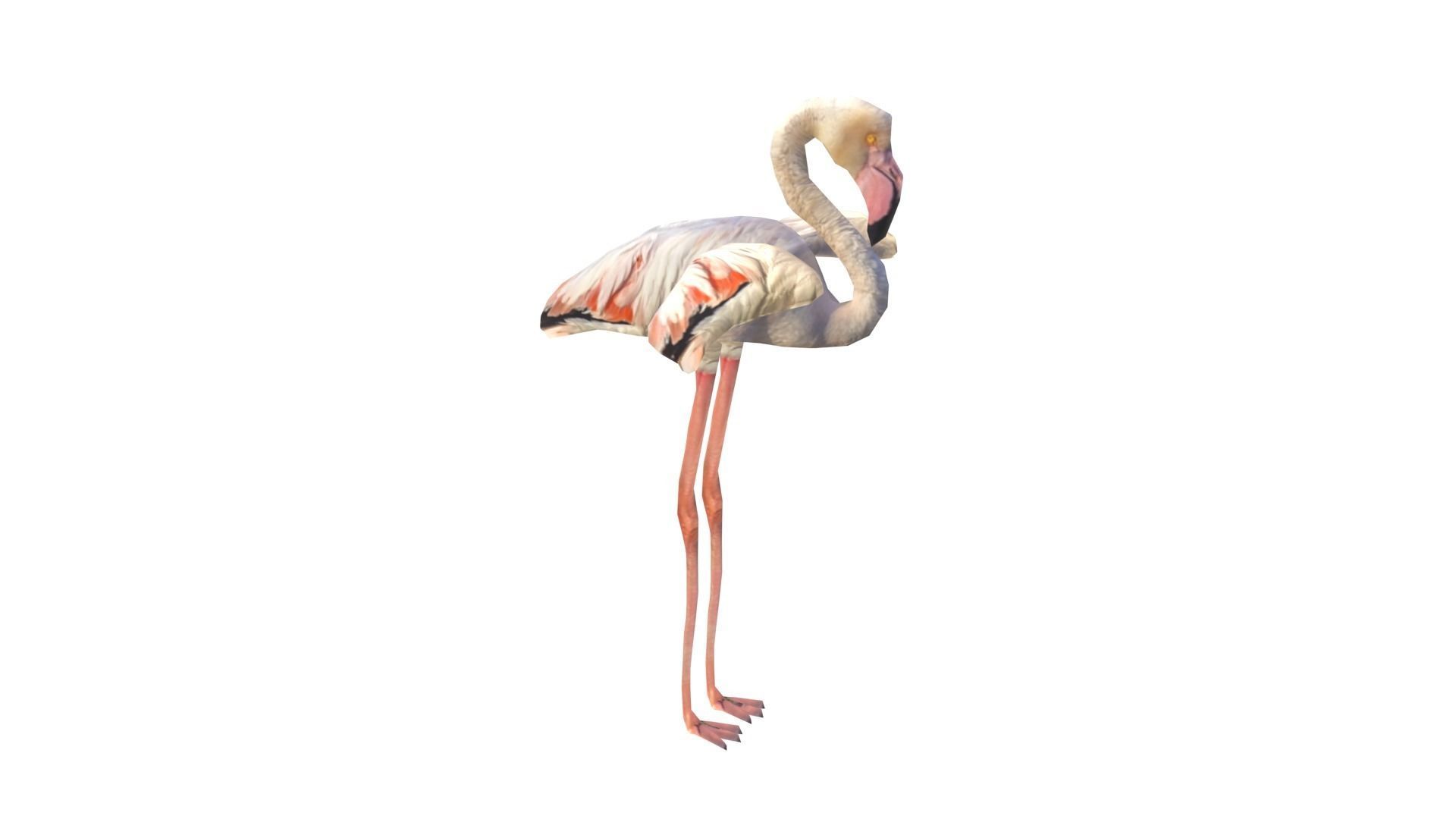3D model Low Poly Flamingo Rigged With Realistic Texture VR / AR / low ...