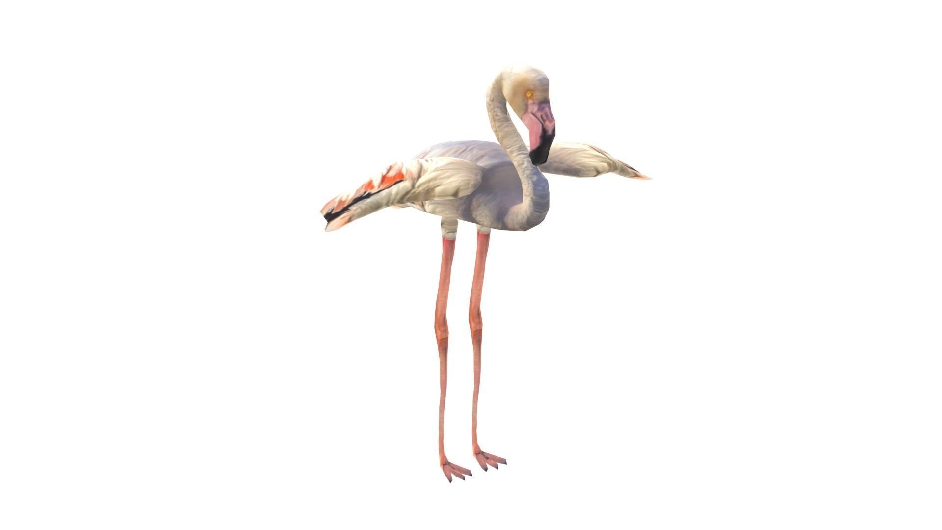 3D model Low Poly Flamingo Rigged With Realistic Texture VR / AR / low ...